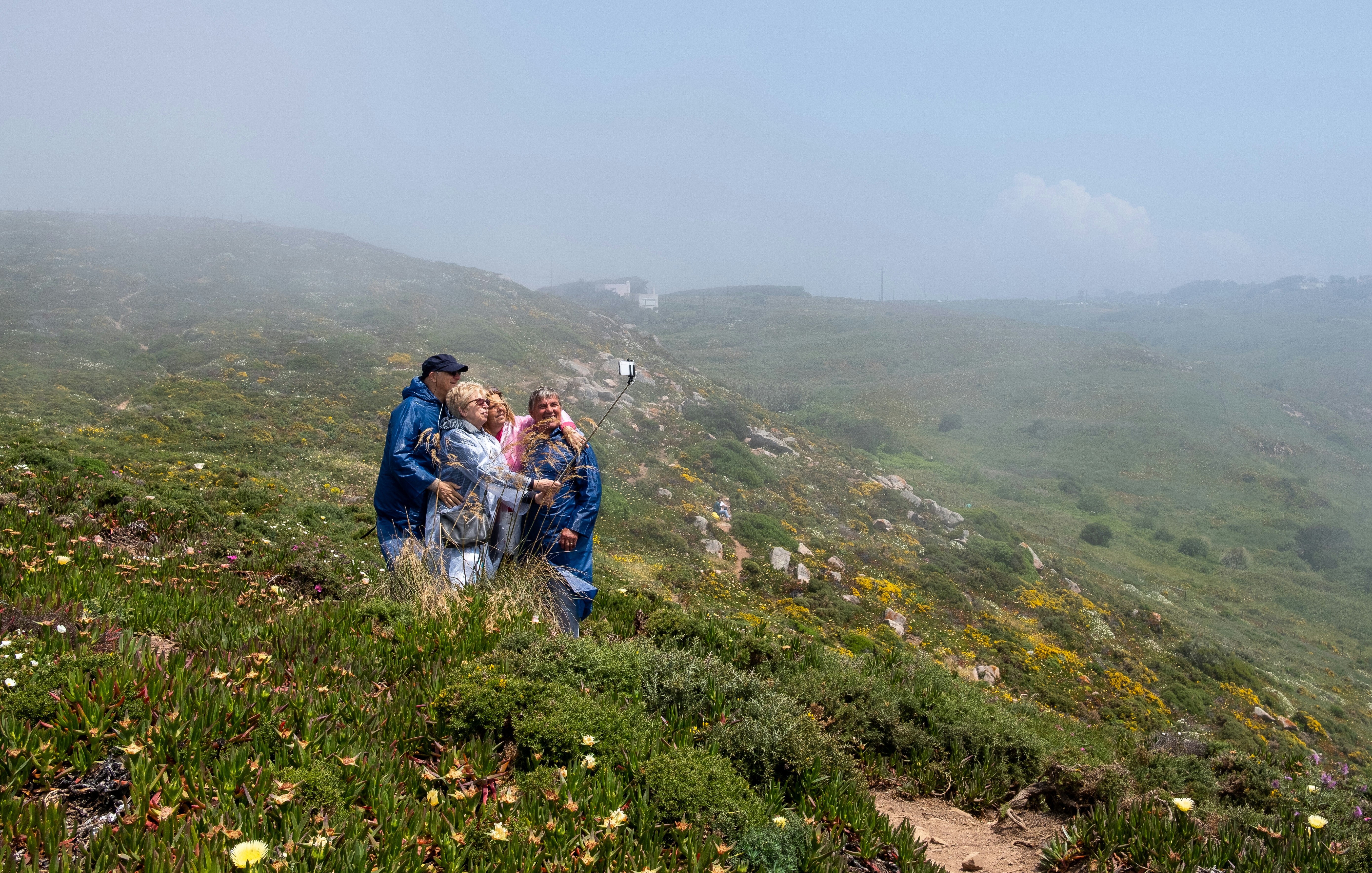 Hikers on a Fog-Kissed Ridge: A Blooming Meadow Moment