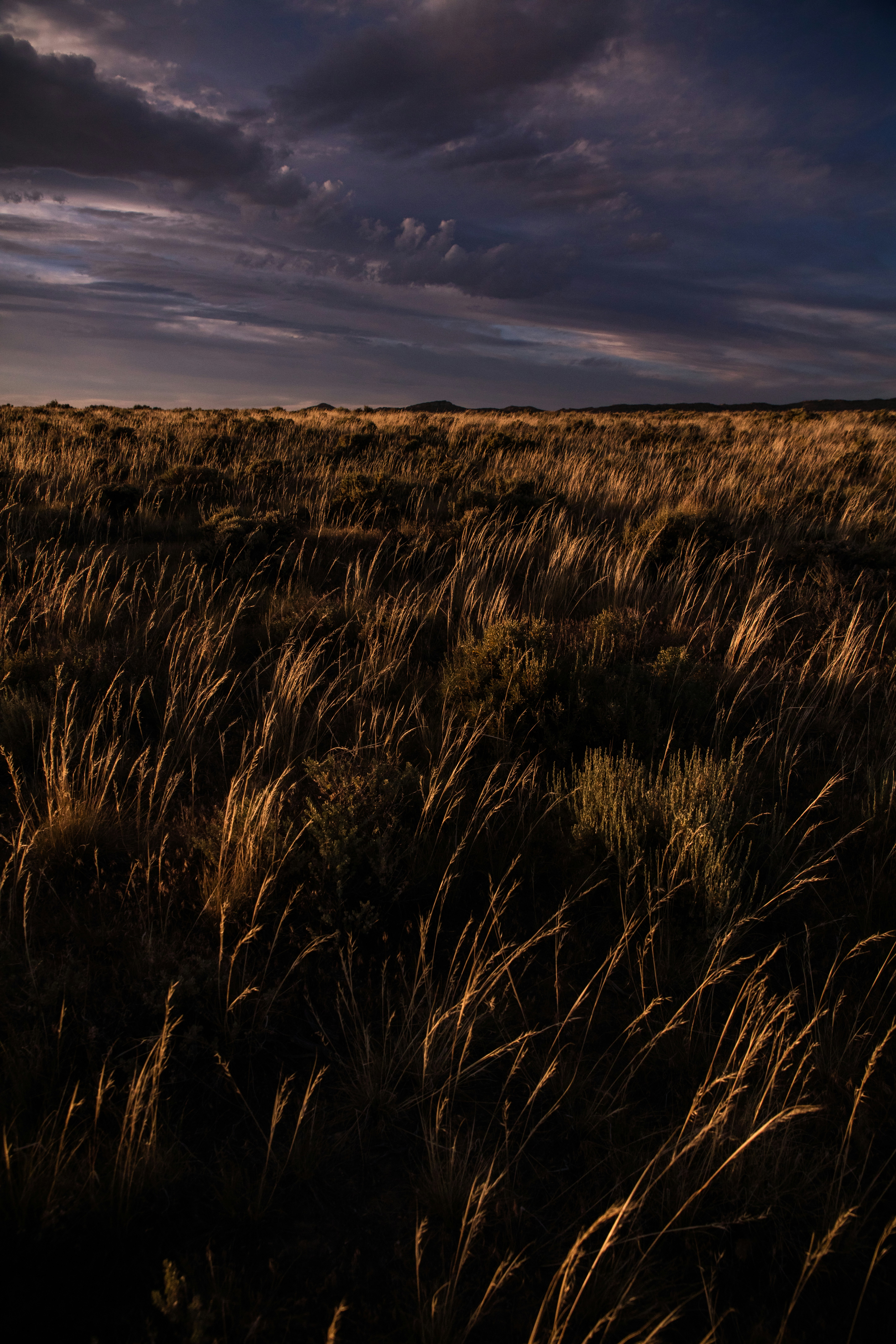Brown grass field under cloudy sky during daytime photo – Free Flaming ...