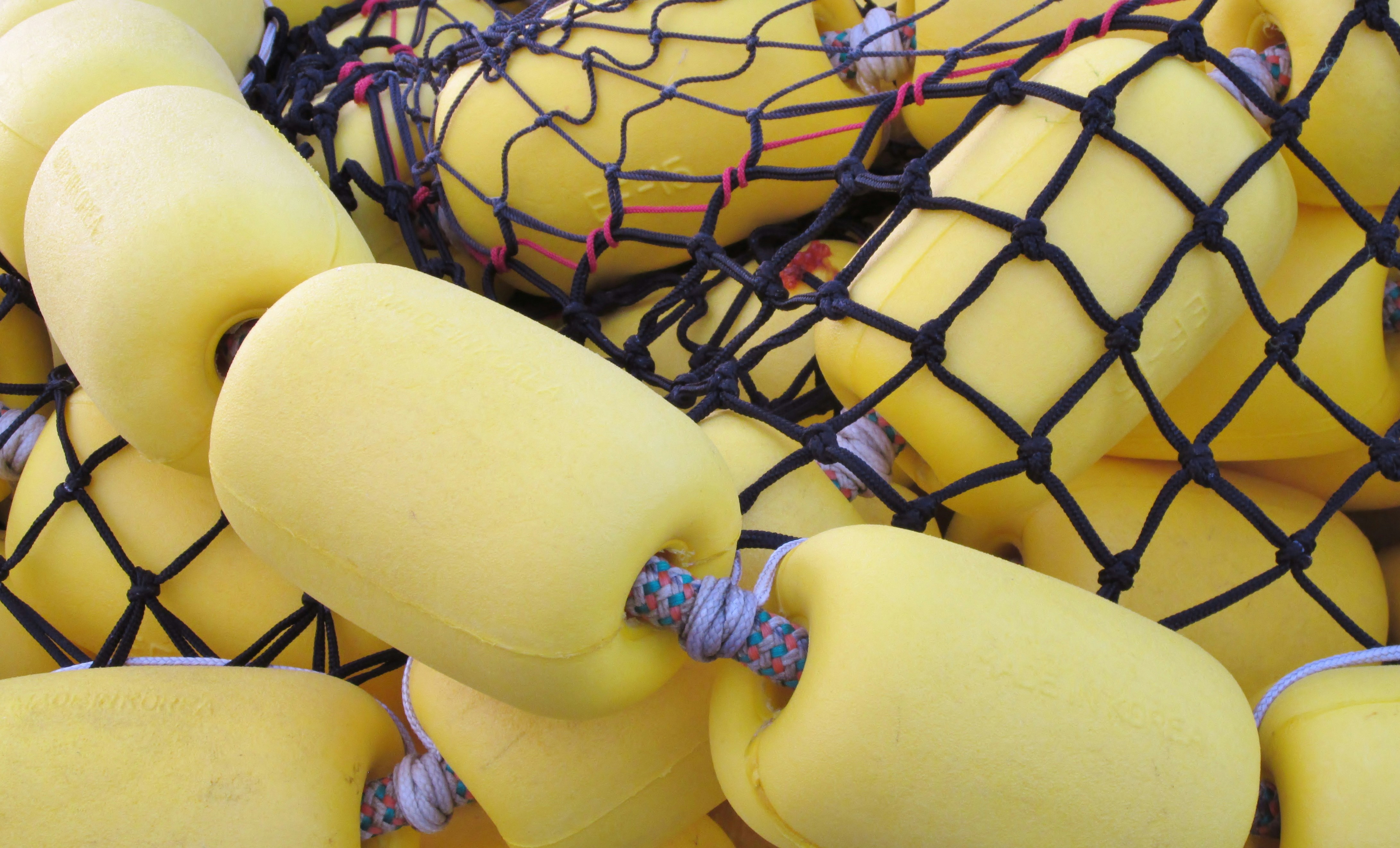 Bright yellow fishing floats entangled in black netting, showcasing the intricate details of marine equipment.