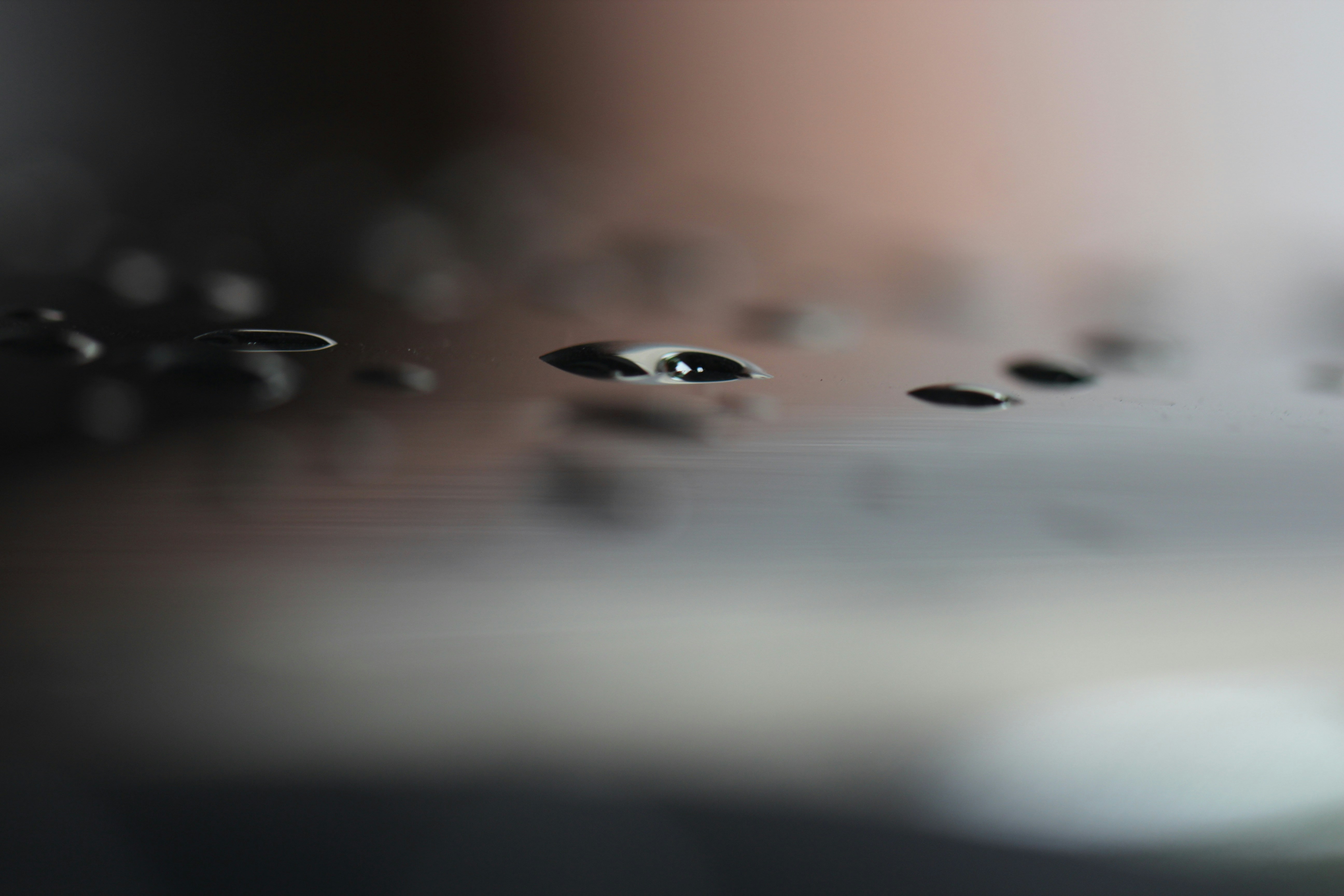 selective focus photography of dew