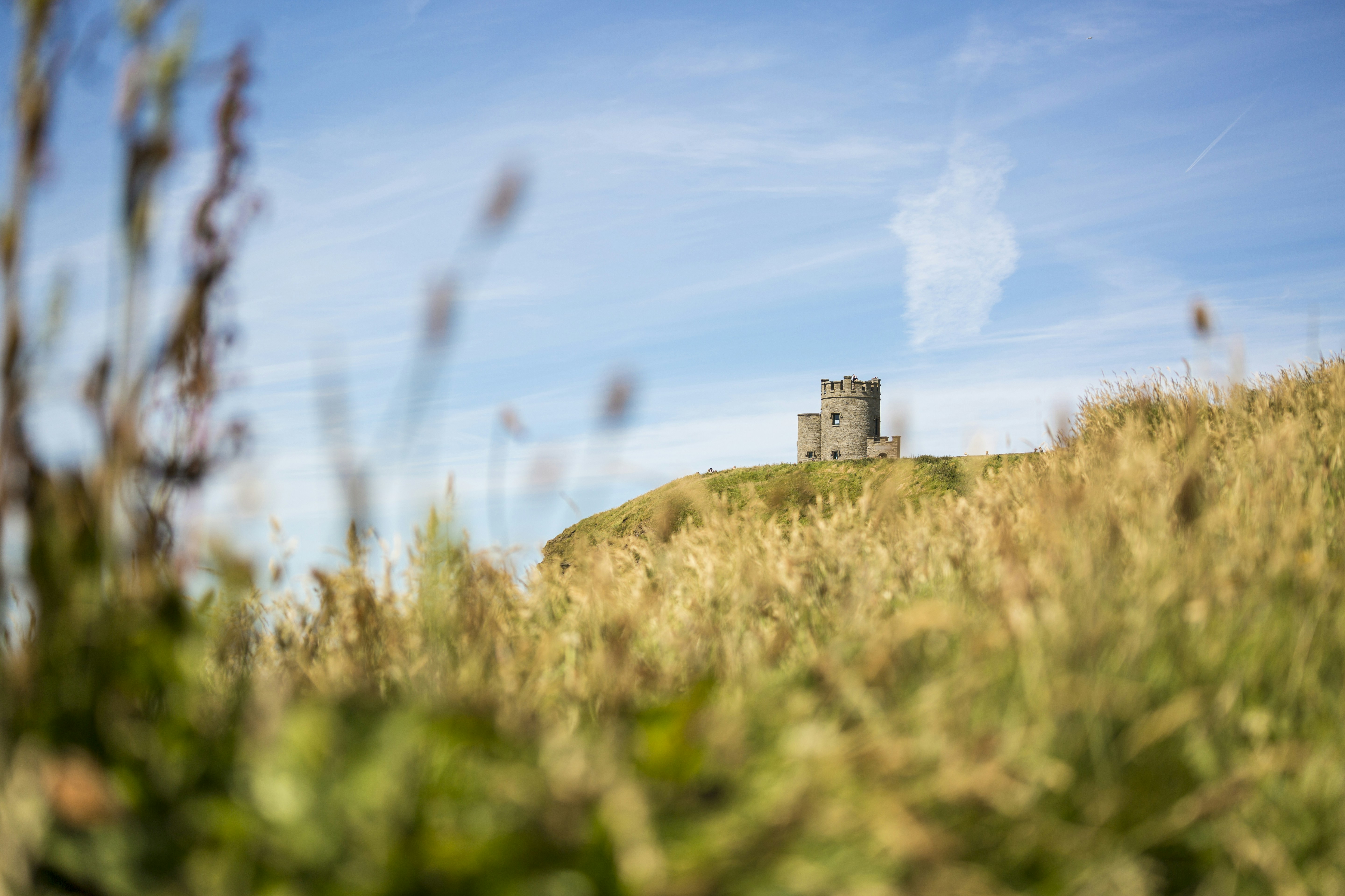 Medieval tower perched on a grassy hill, surrounded by swaying wild grasses under a clear blue sky.