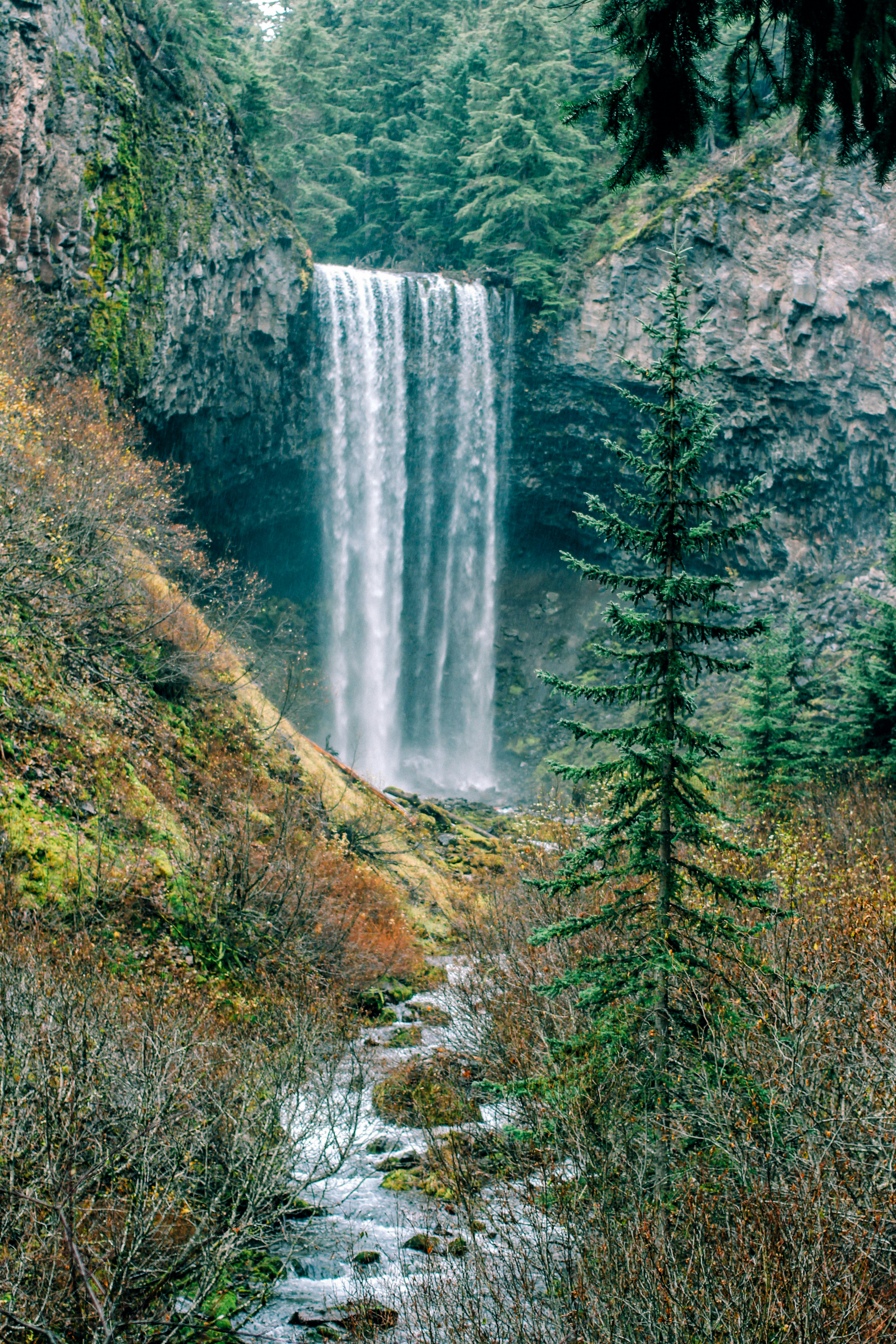 Trailhead Pictures | Download Free Images on Unsplash