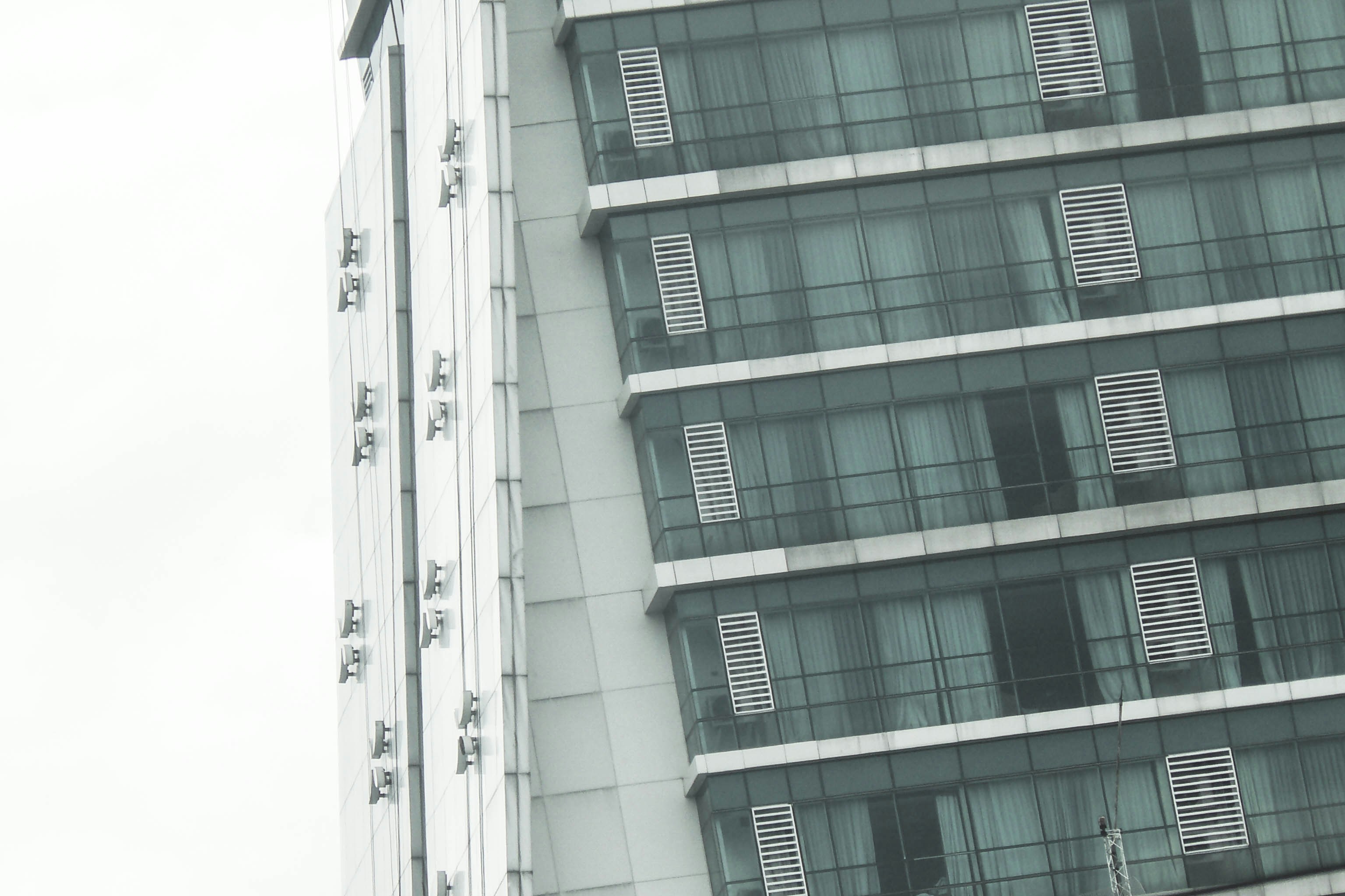 Sample photo from Panasonic Lumix FZ8