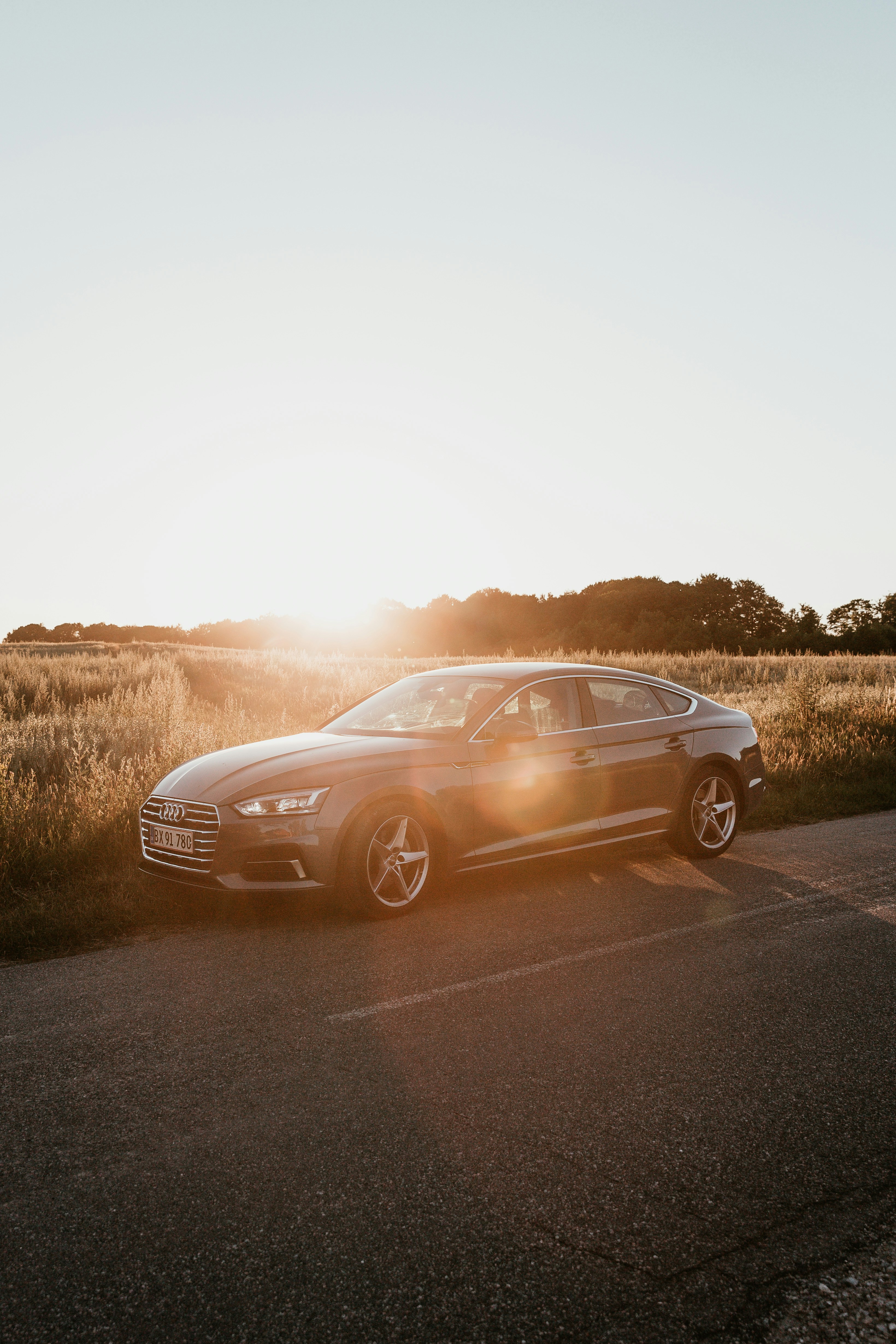 Golden Hour Driveway