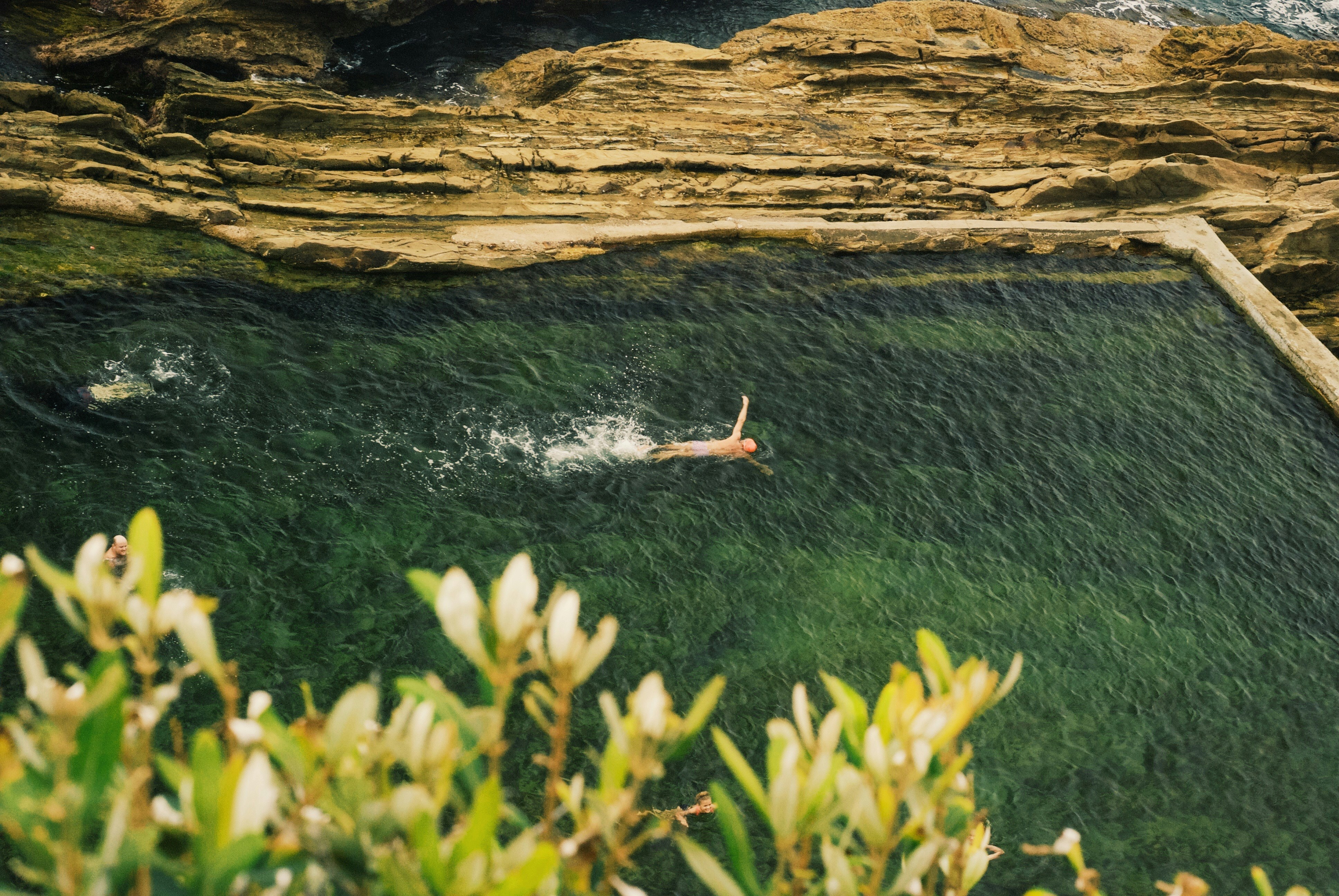 Solitary Swim in a Natural Rock Pool