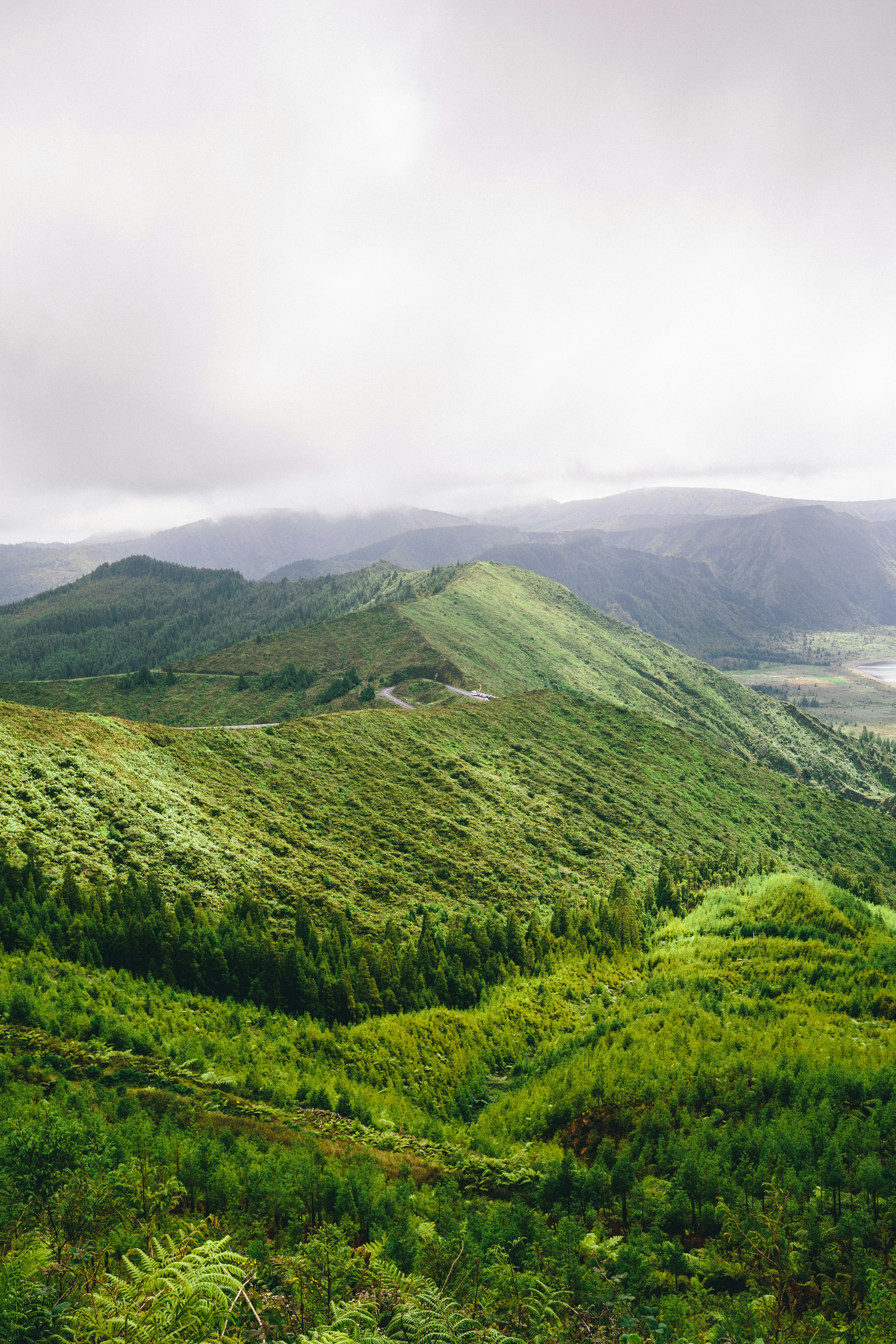 Verdant Ridge: a winding road through sunlit hills