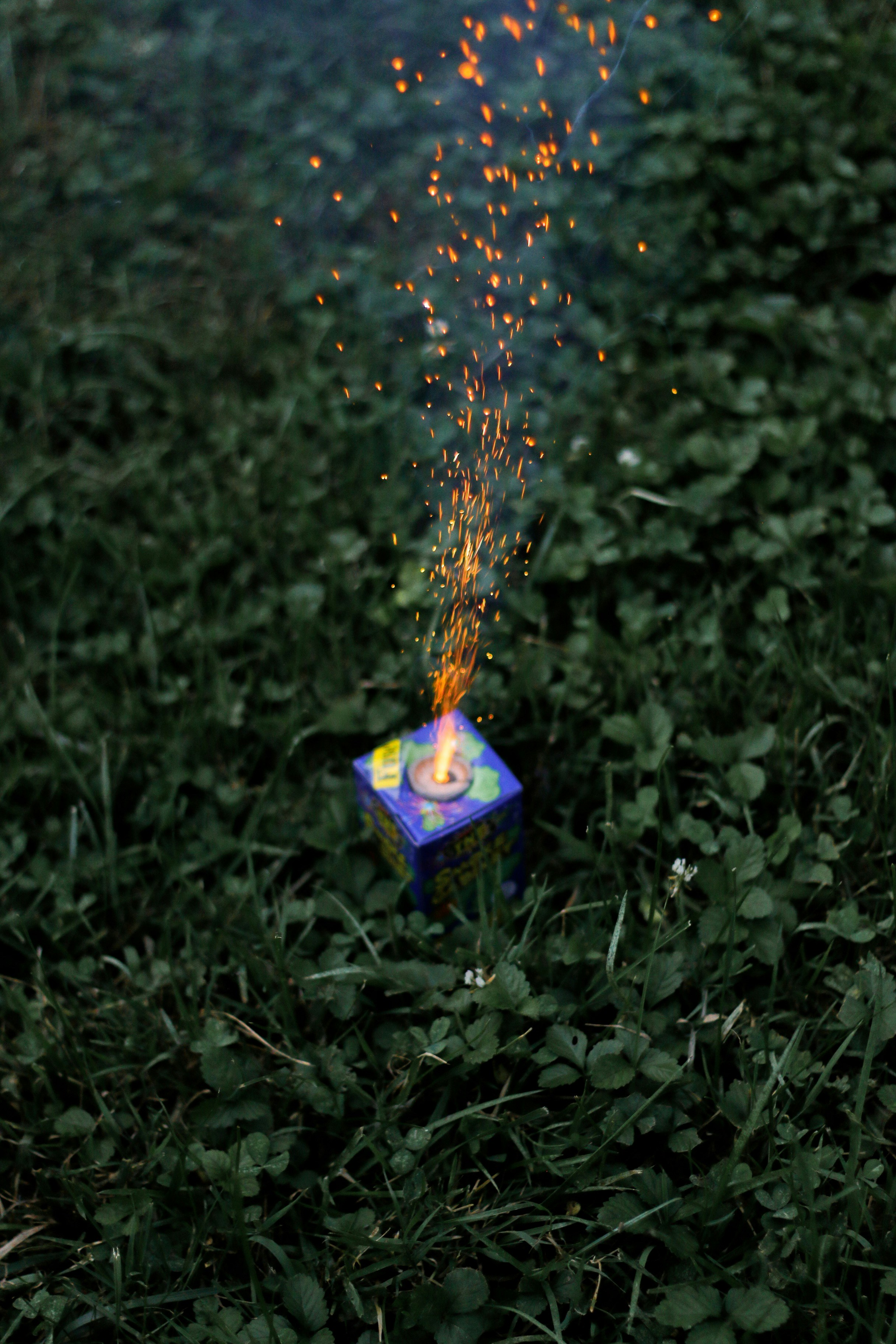Meadow Sparks: A Petite Firework Fountain on a Colorful Gift Box