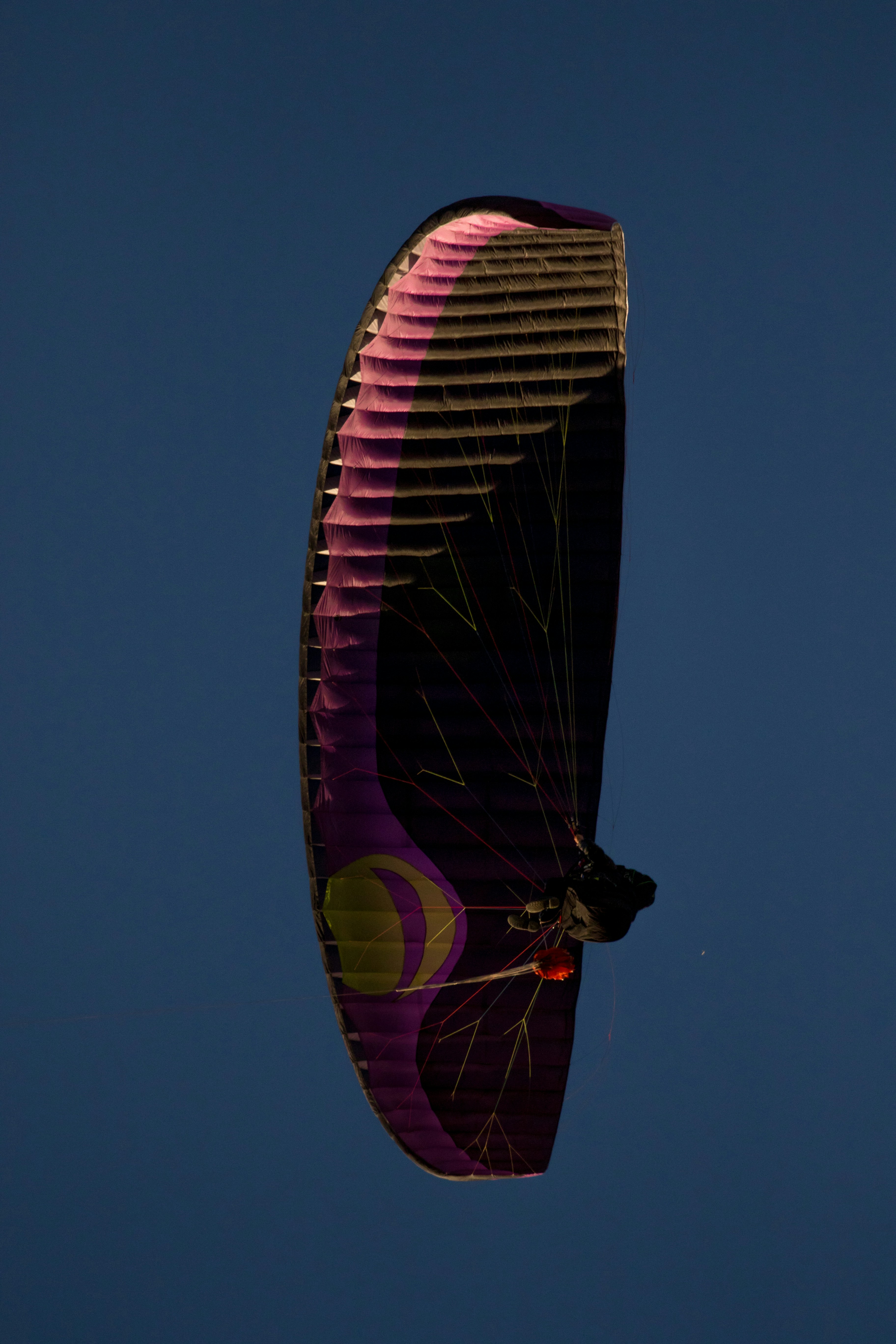 Magenta Wing Against a Clear Blue: A Lone Paraglider in Flight