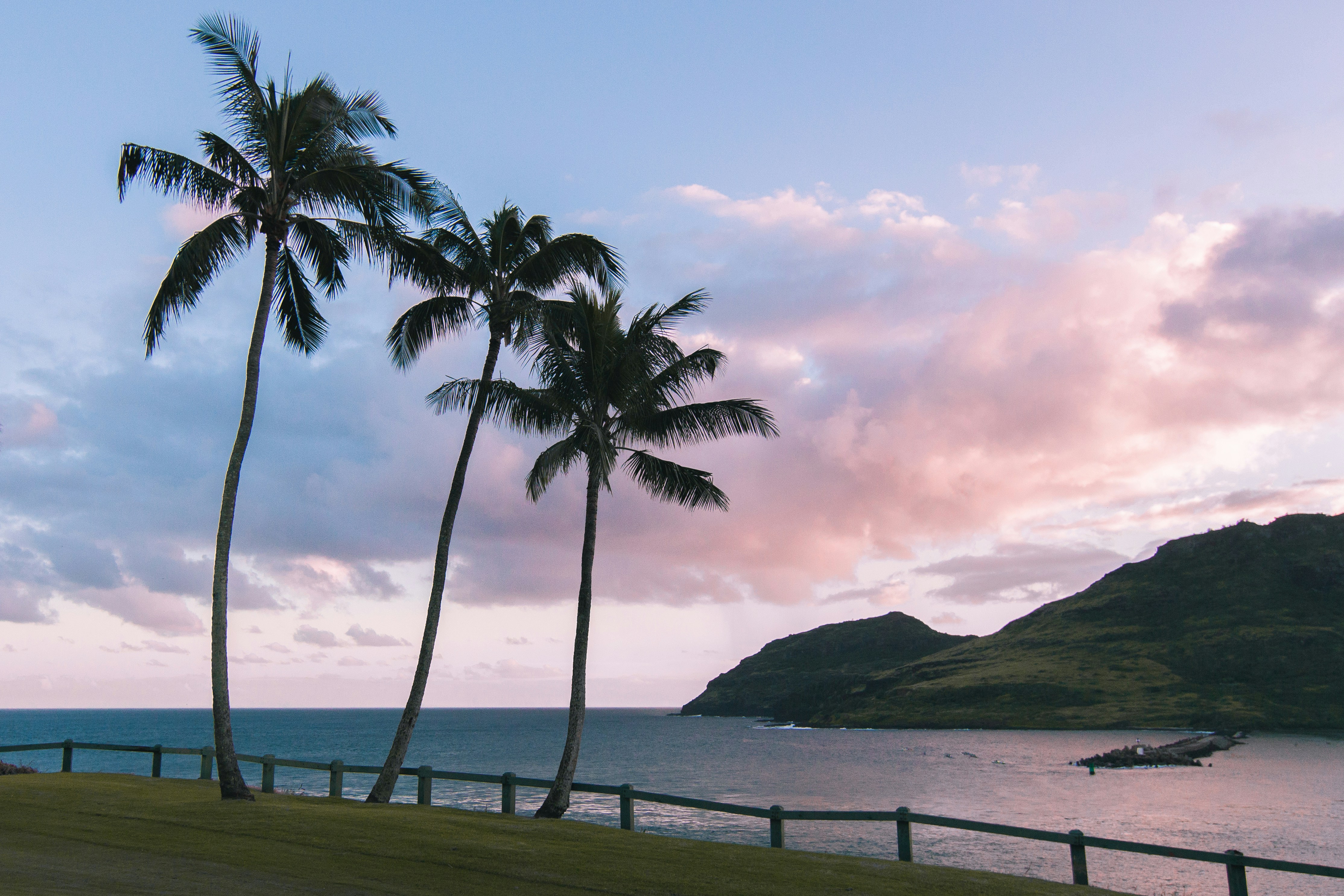 Luke Bender (@lukebender) | Unsplash Photo Community