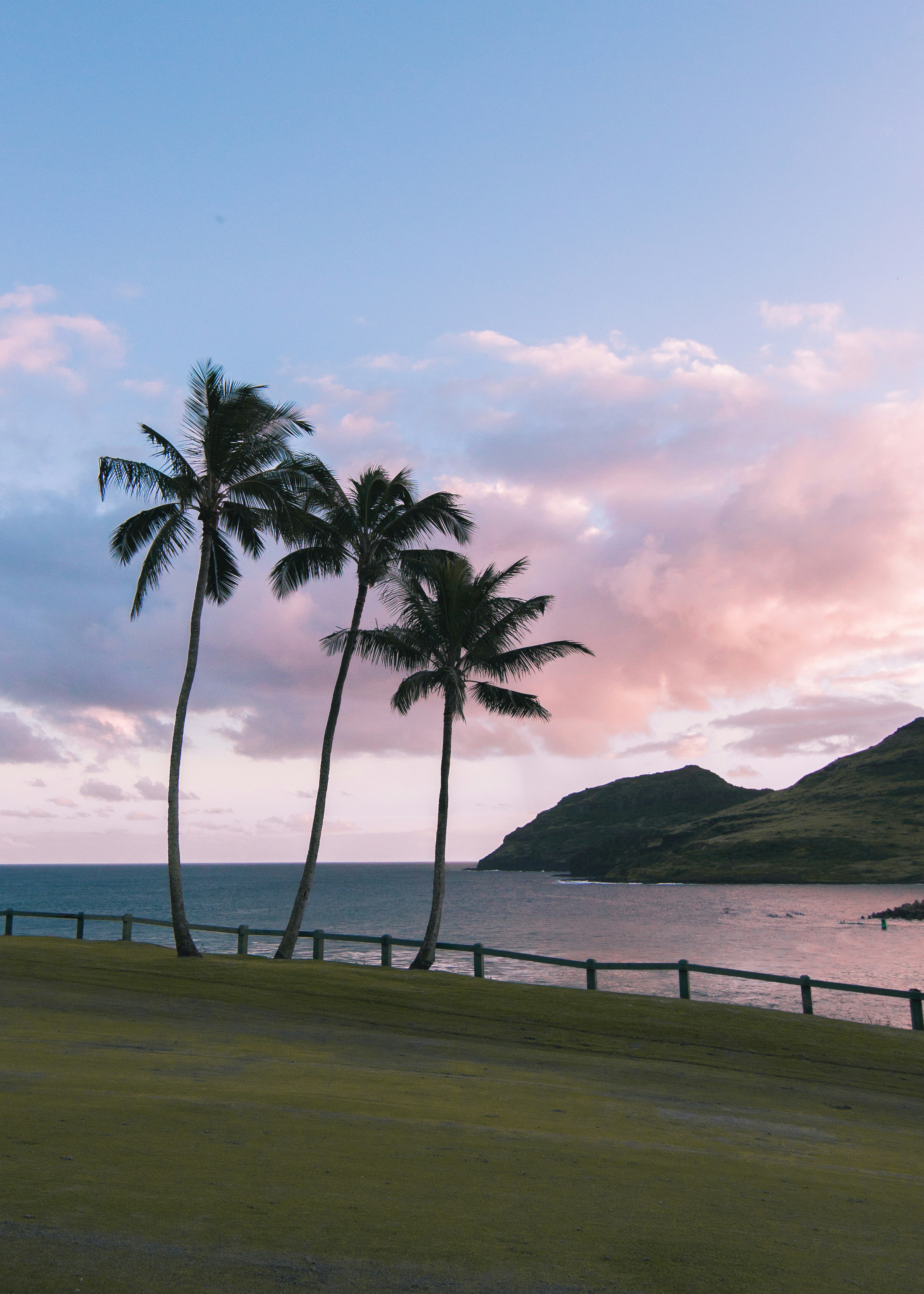 Luke Bender (@lukebender) | Unsplash Photo Community