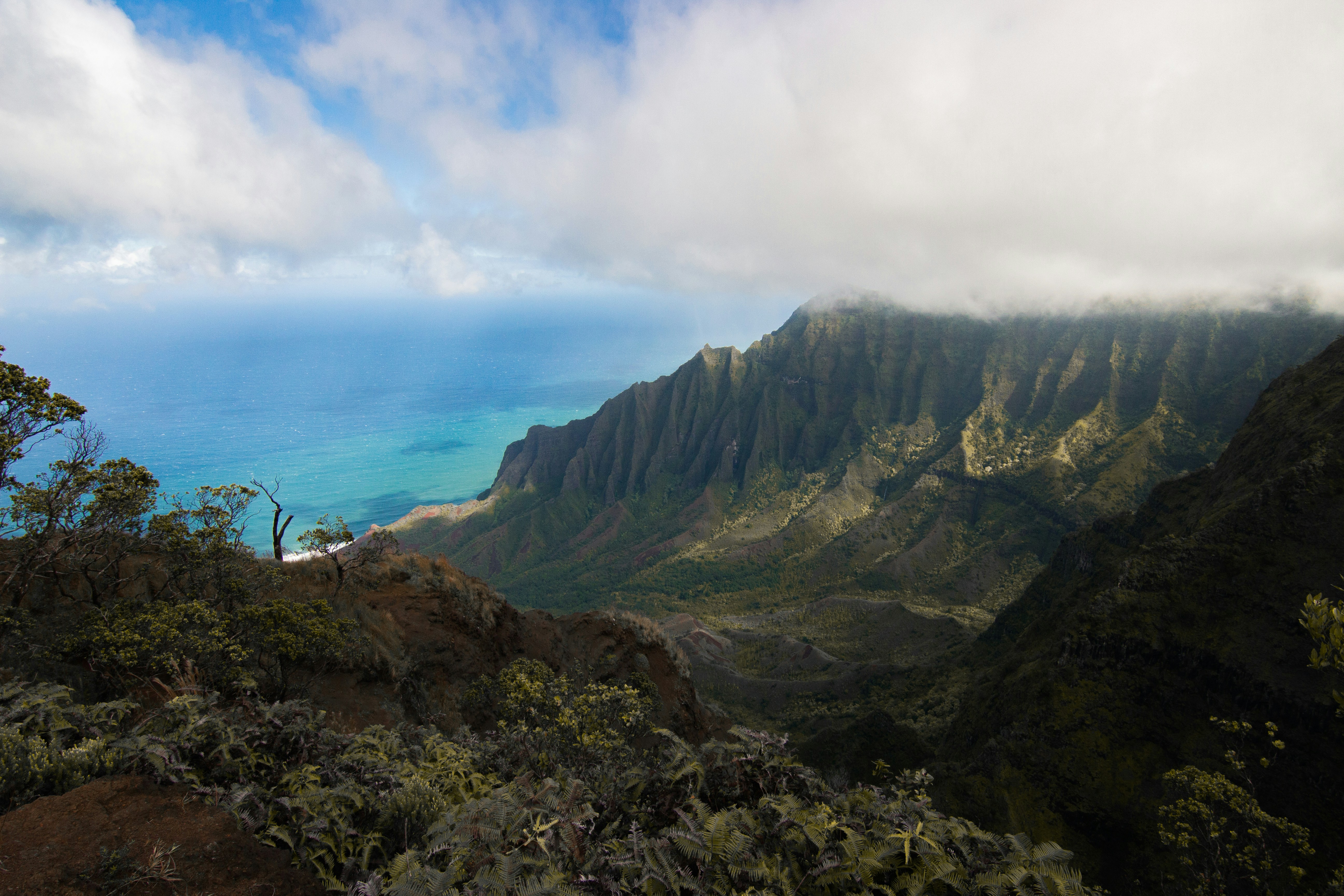 Luke Bender (@lukebender) | Unsplash Photo Community