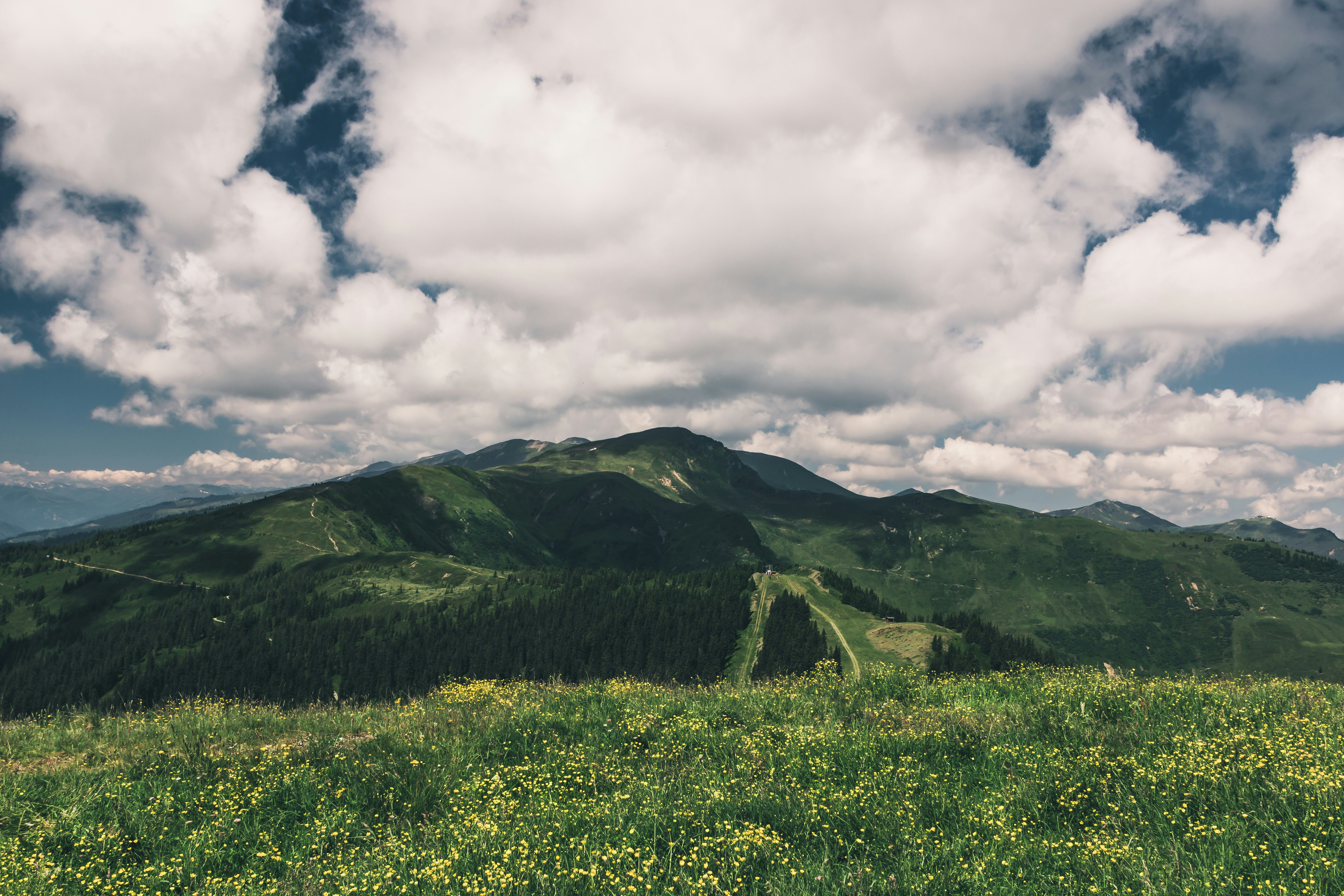 Free Nature Image on Unsplash