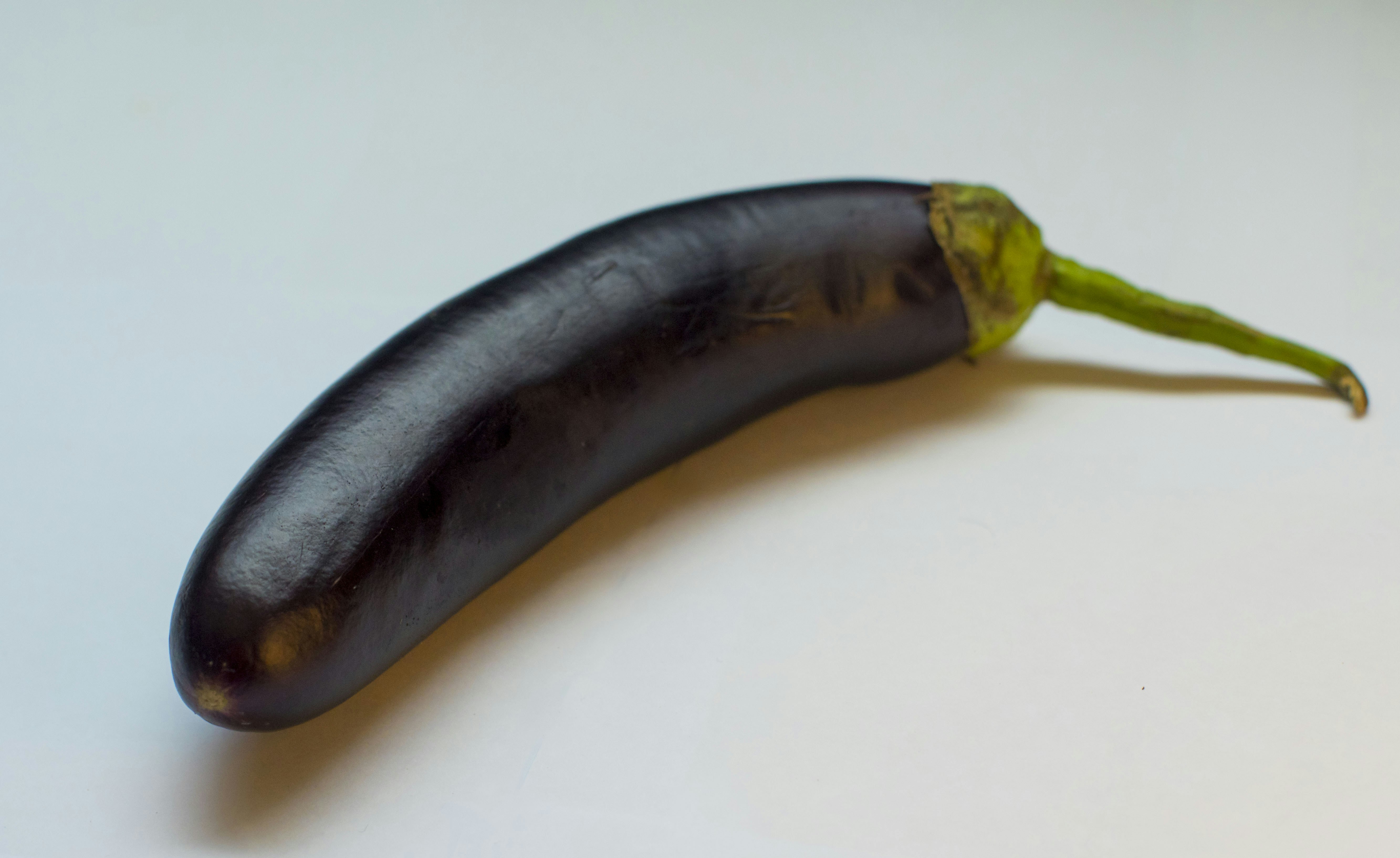 Single eggplant resting on a light surface with soft shadows.