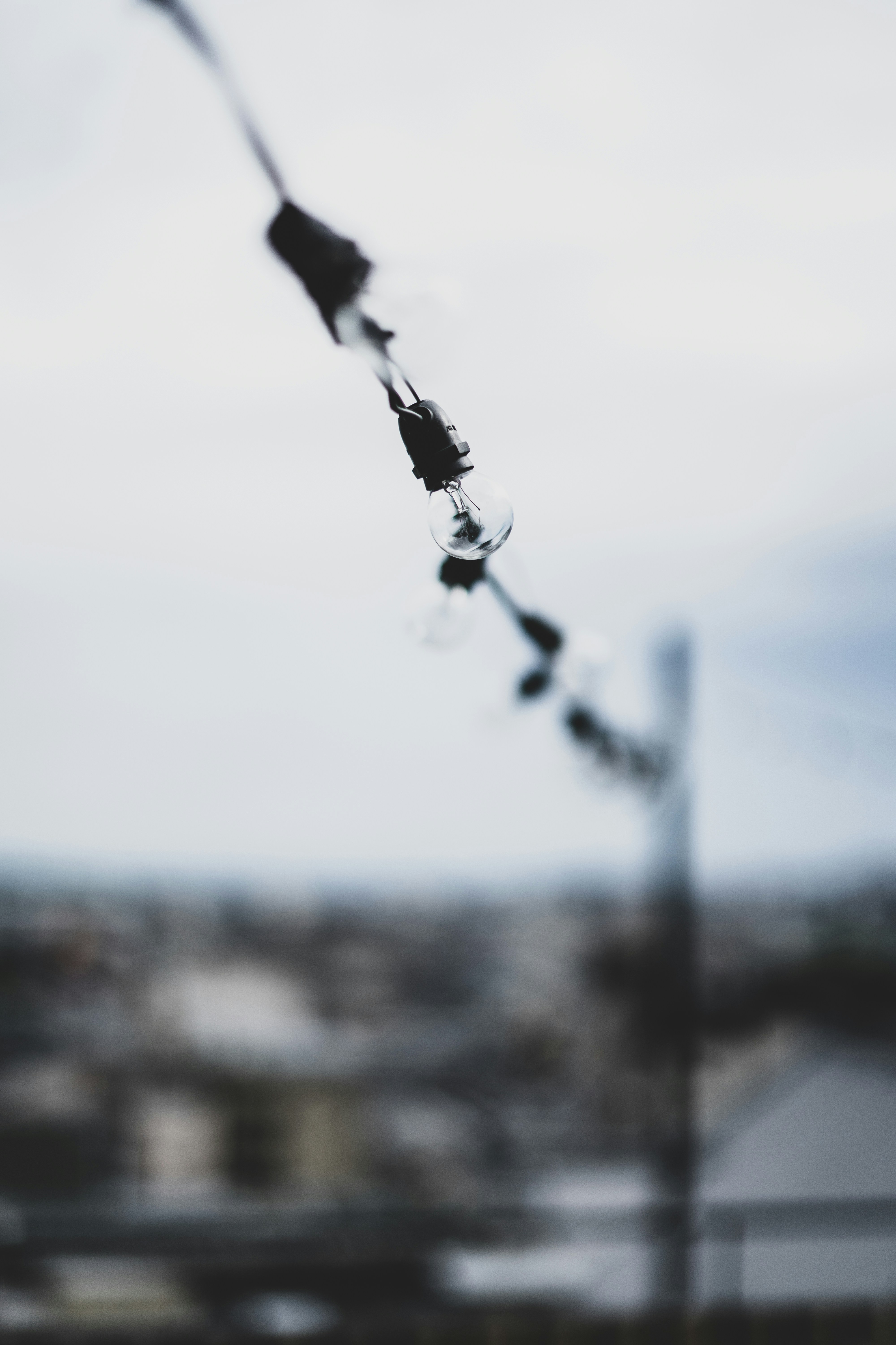 Dewdrop on a Wire Against a Blurred Cityscape