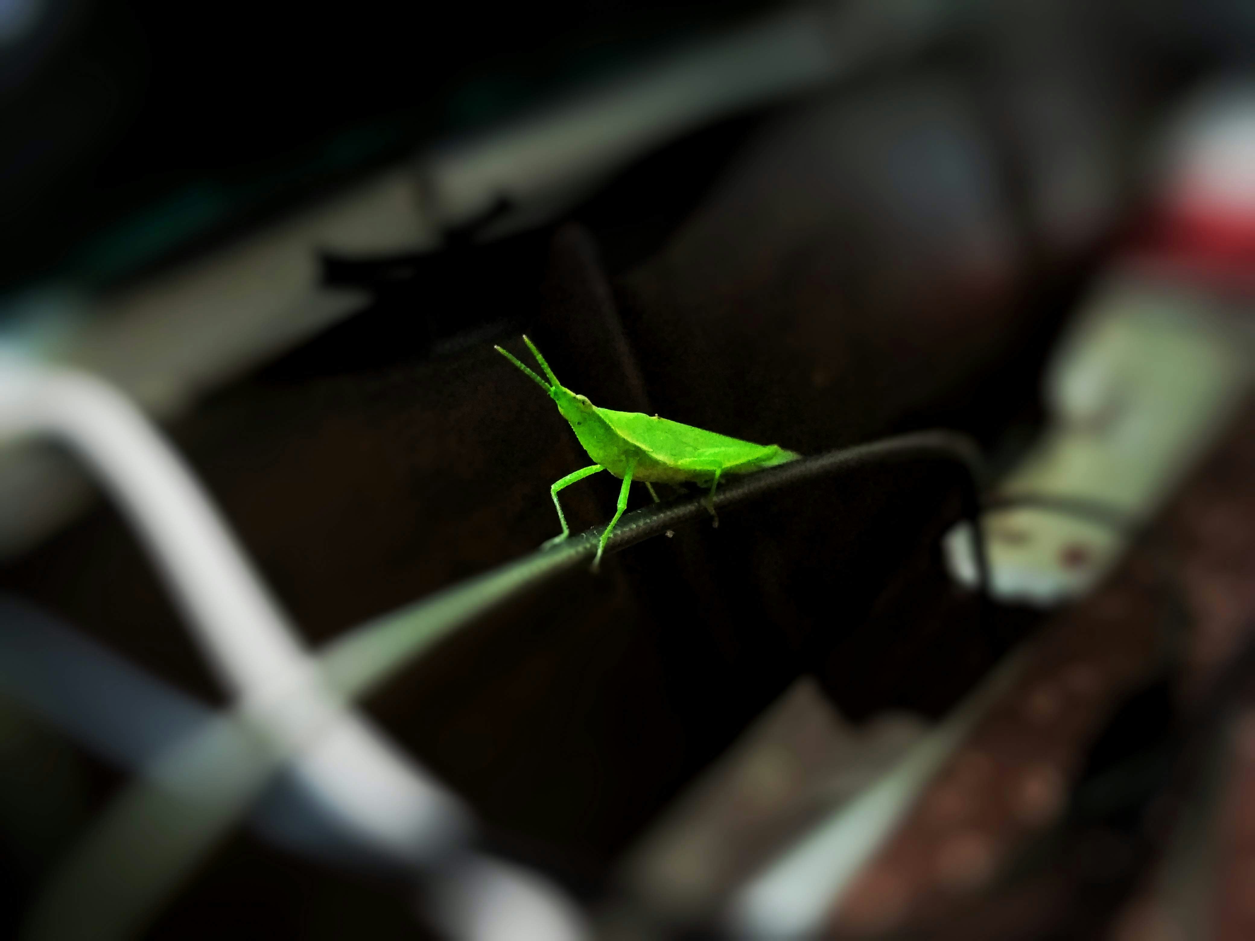 Définition de boro | Dictionnaire français