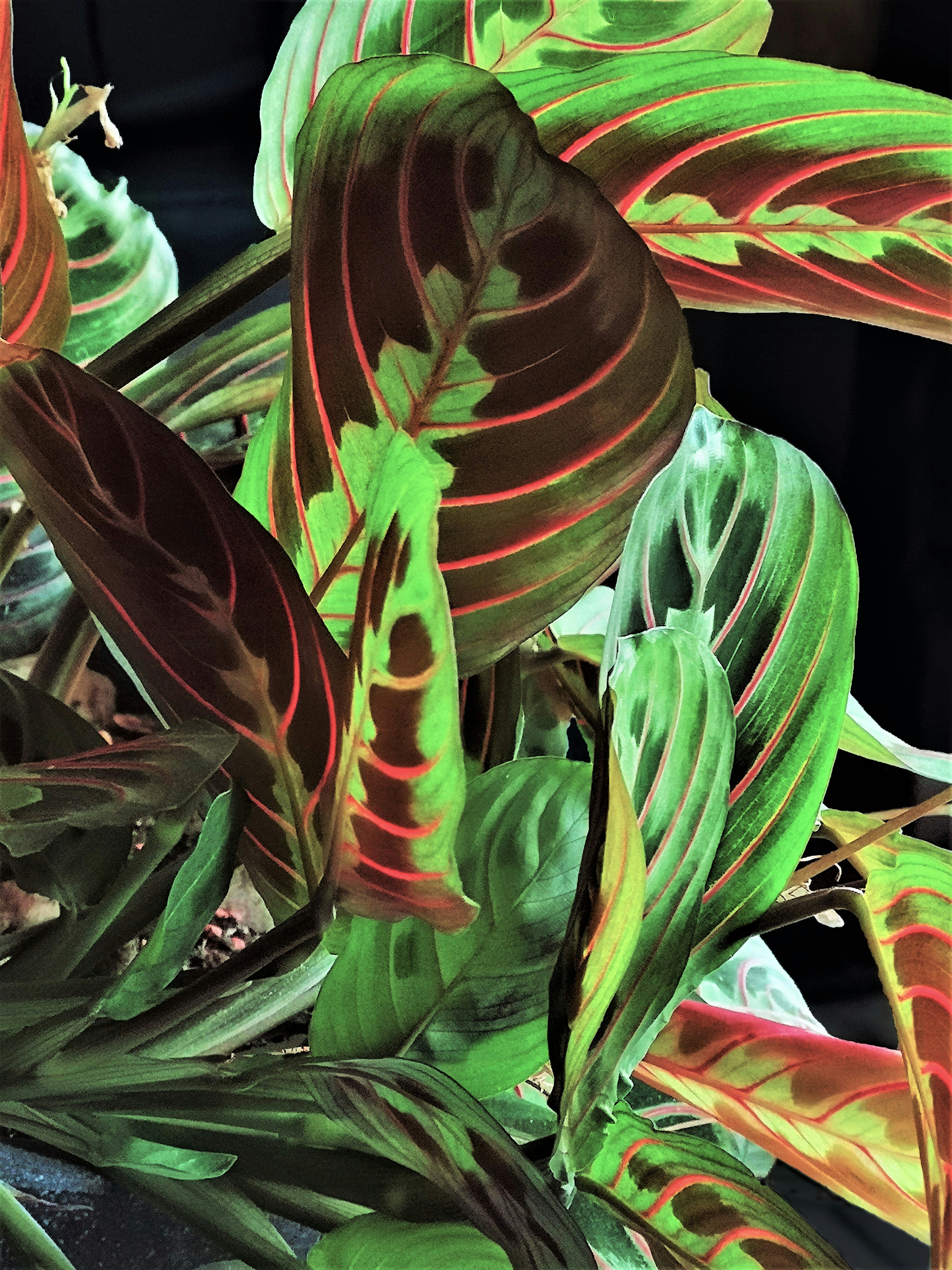 Annette Fischer (@fischli) | Komunitas Foto Unsplash