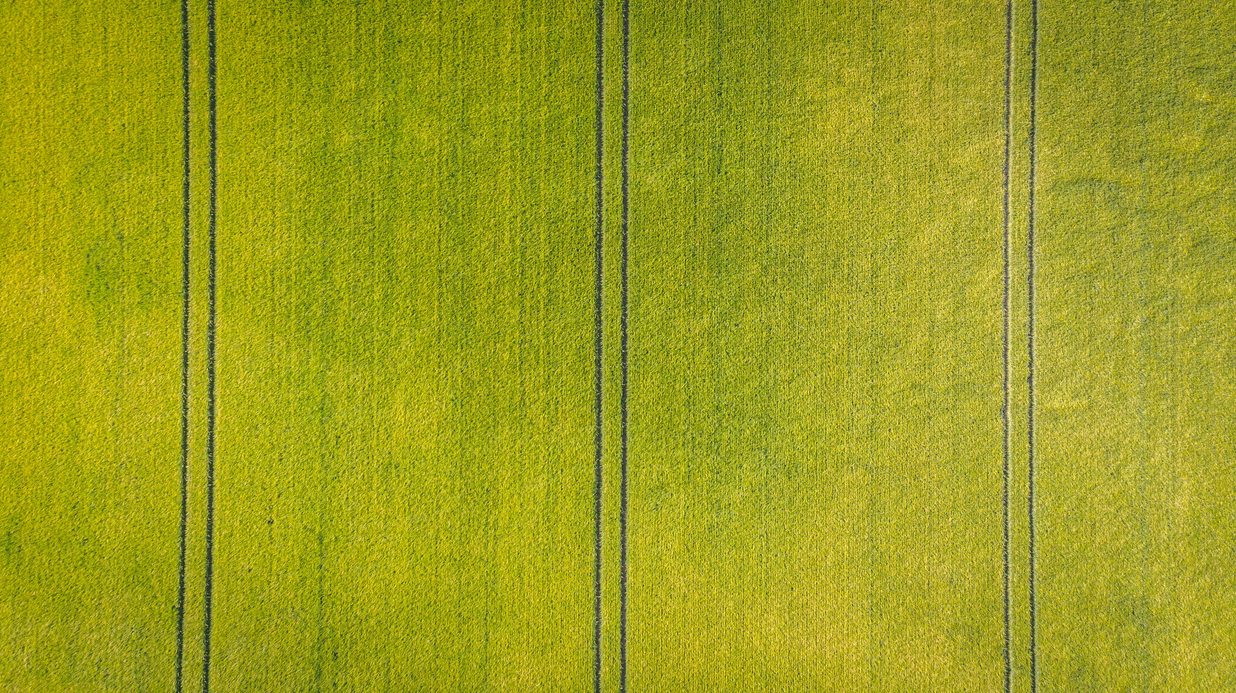 Symphony of Green: Aerial Patterns in AgricultureMatt Seymour