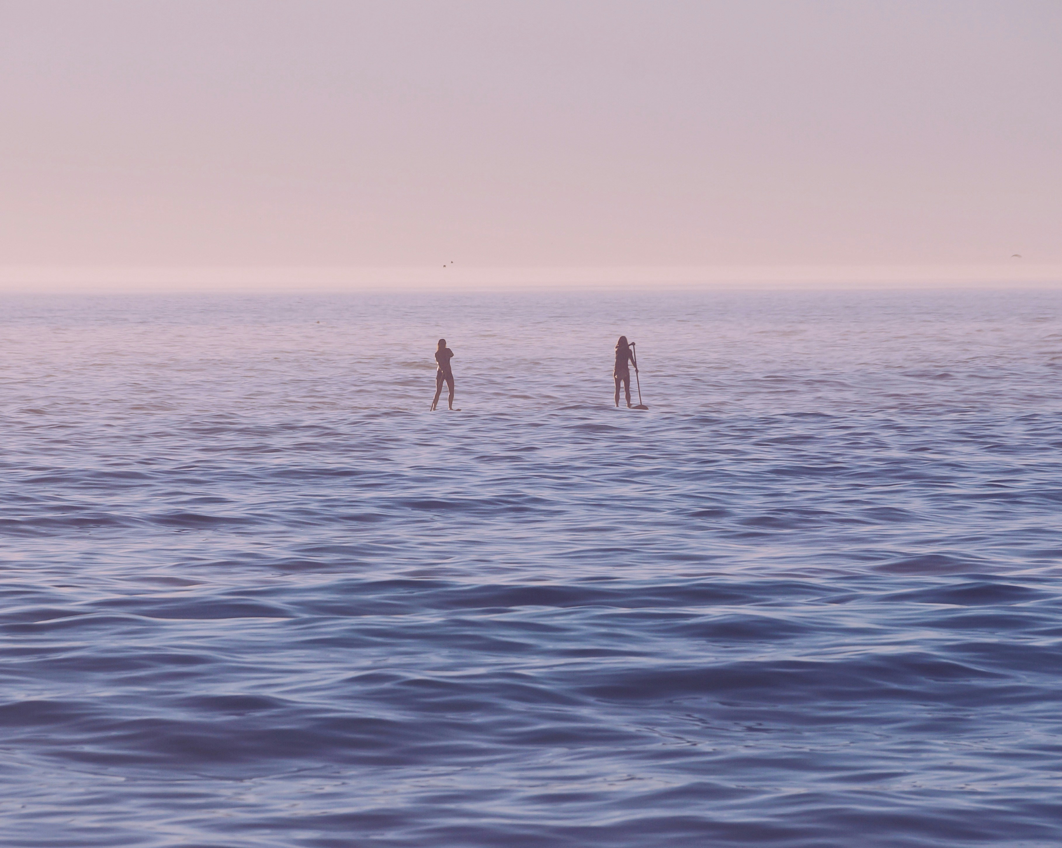 Two paddleboarders glide across a tranquil sea under a soft pastel sky, embodying a moment of peace and connection with nature.