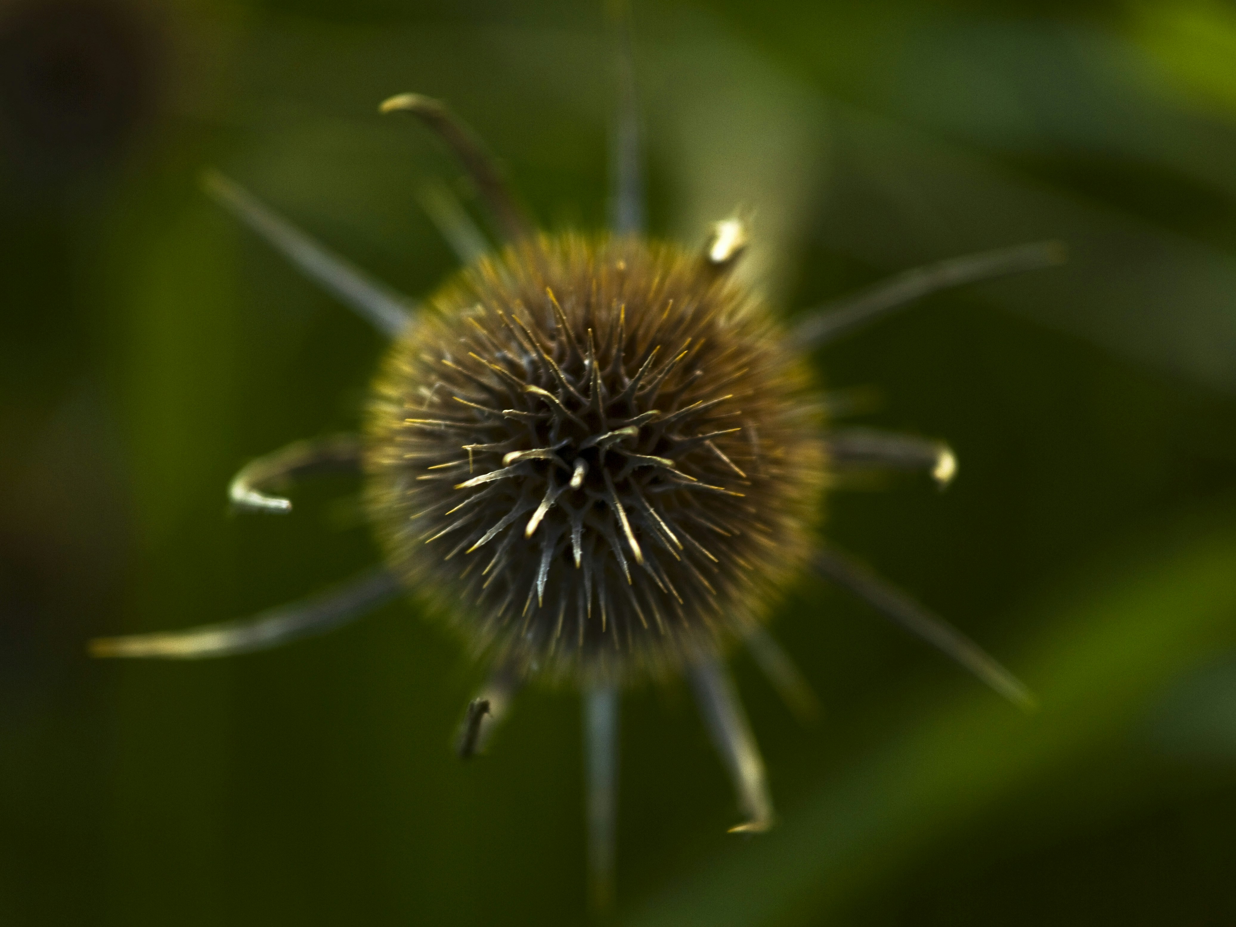 Cameron Simpson (@csimpson8900) | Comunidade de fotos da Unsplash