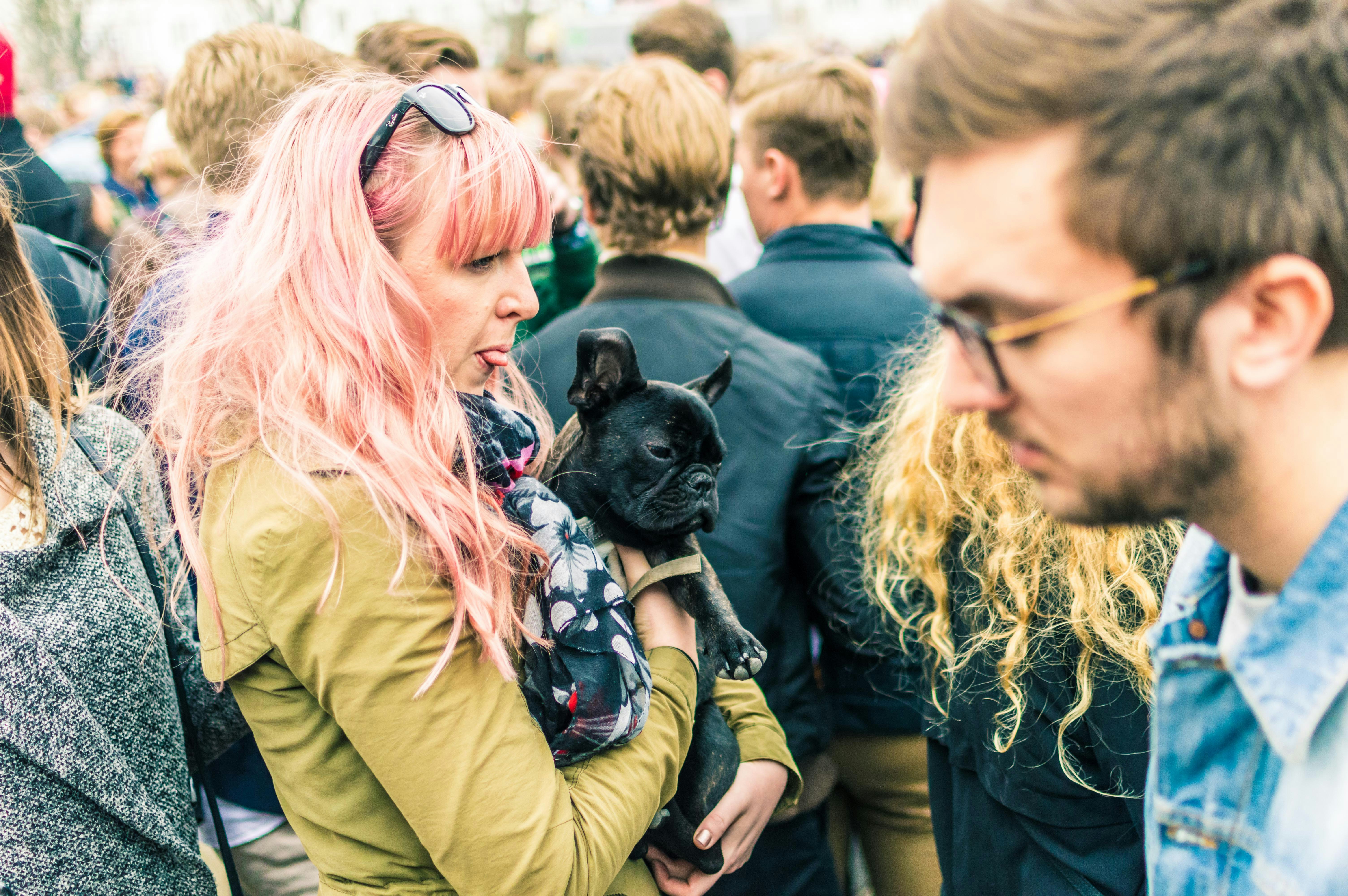 Pocket-Sized Focus: A Black Pup Anchors a Pink-Haired Moment in the Crowd