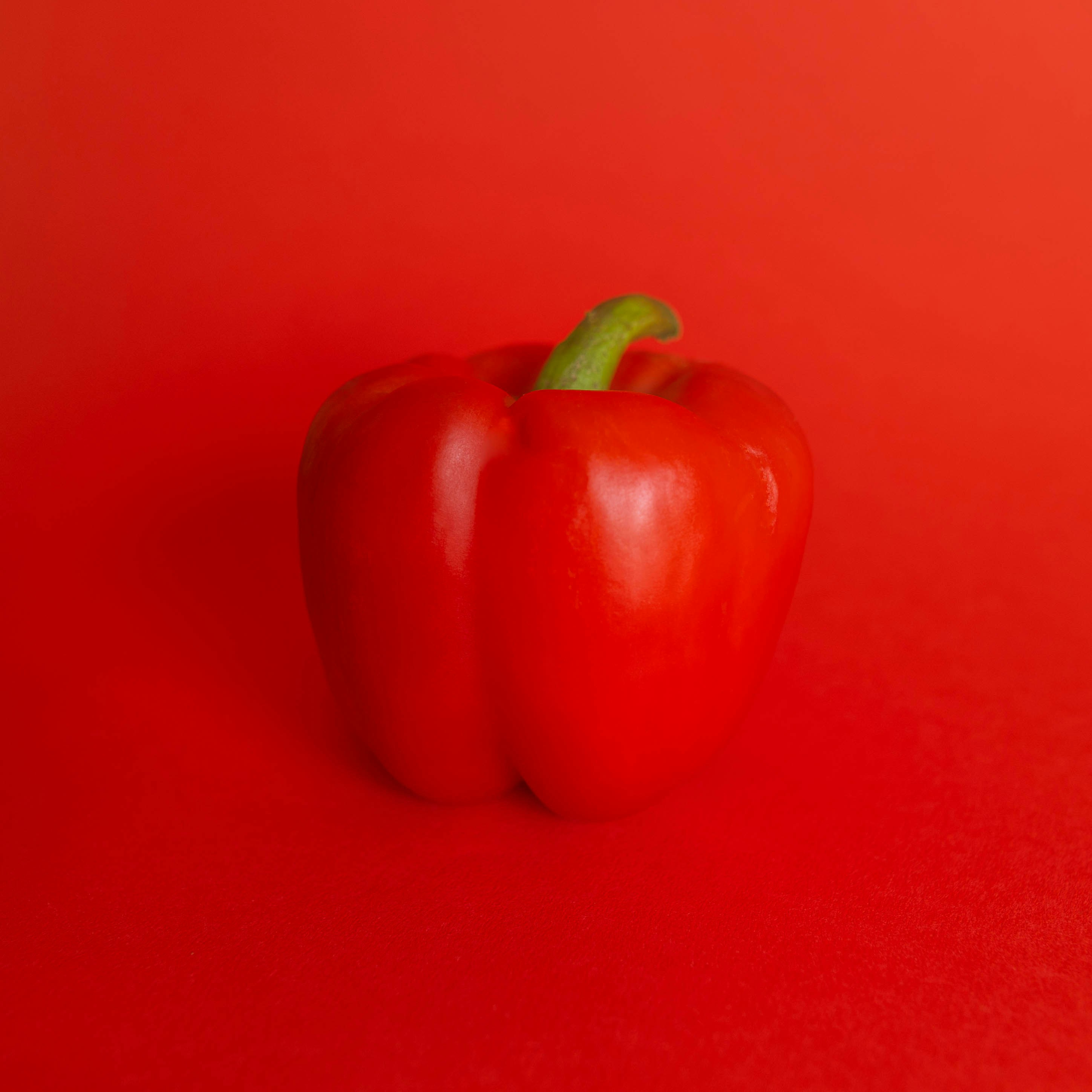 Glossy red bell pepper resting against a solid red background, showcasing its natural curves and shine.