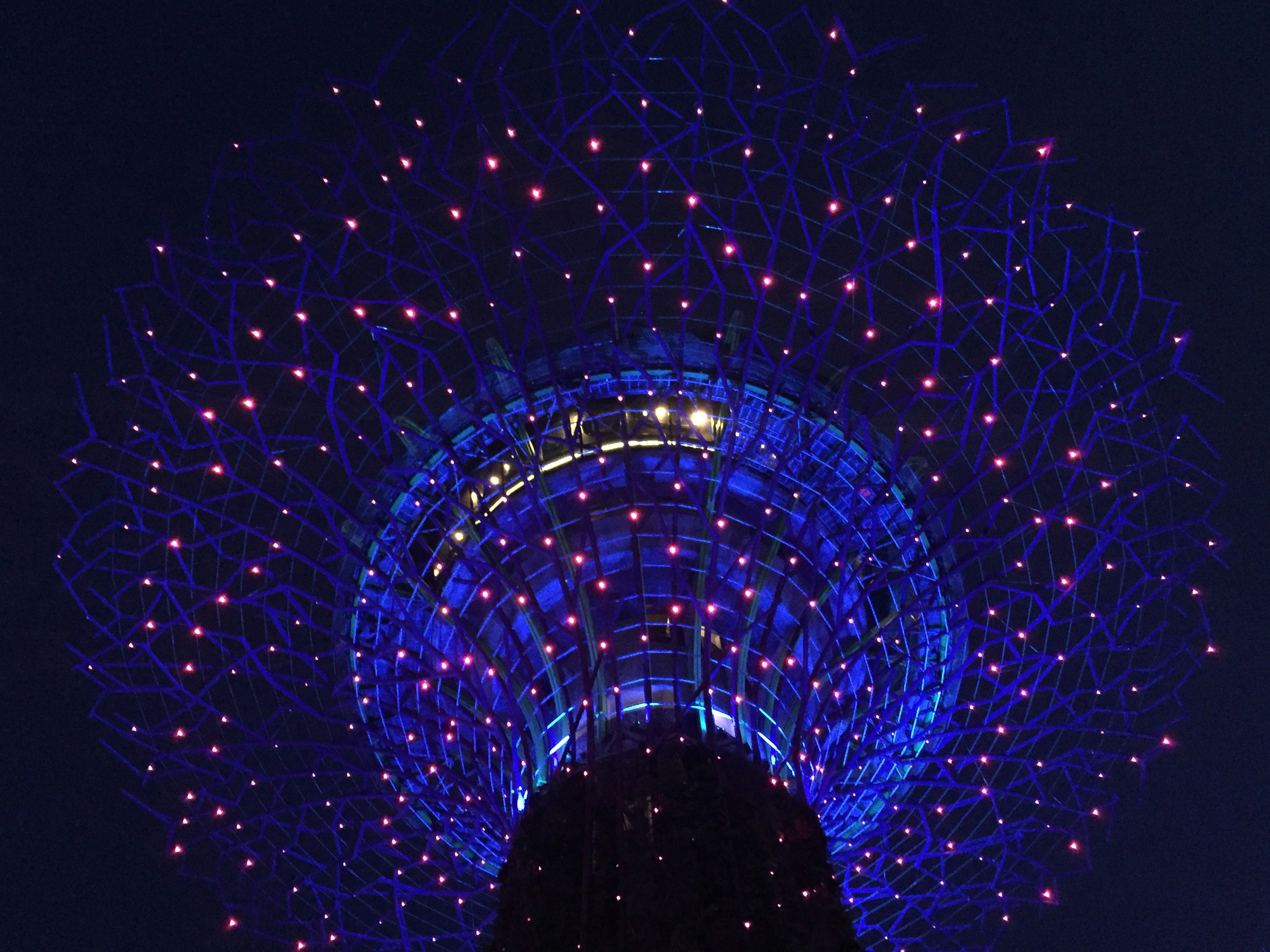 Blue Lattice Crown: A Night Bloom of Neon Mesh