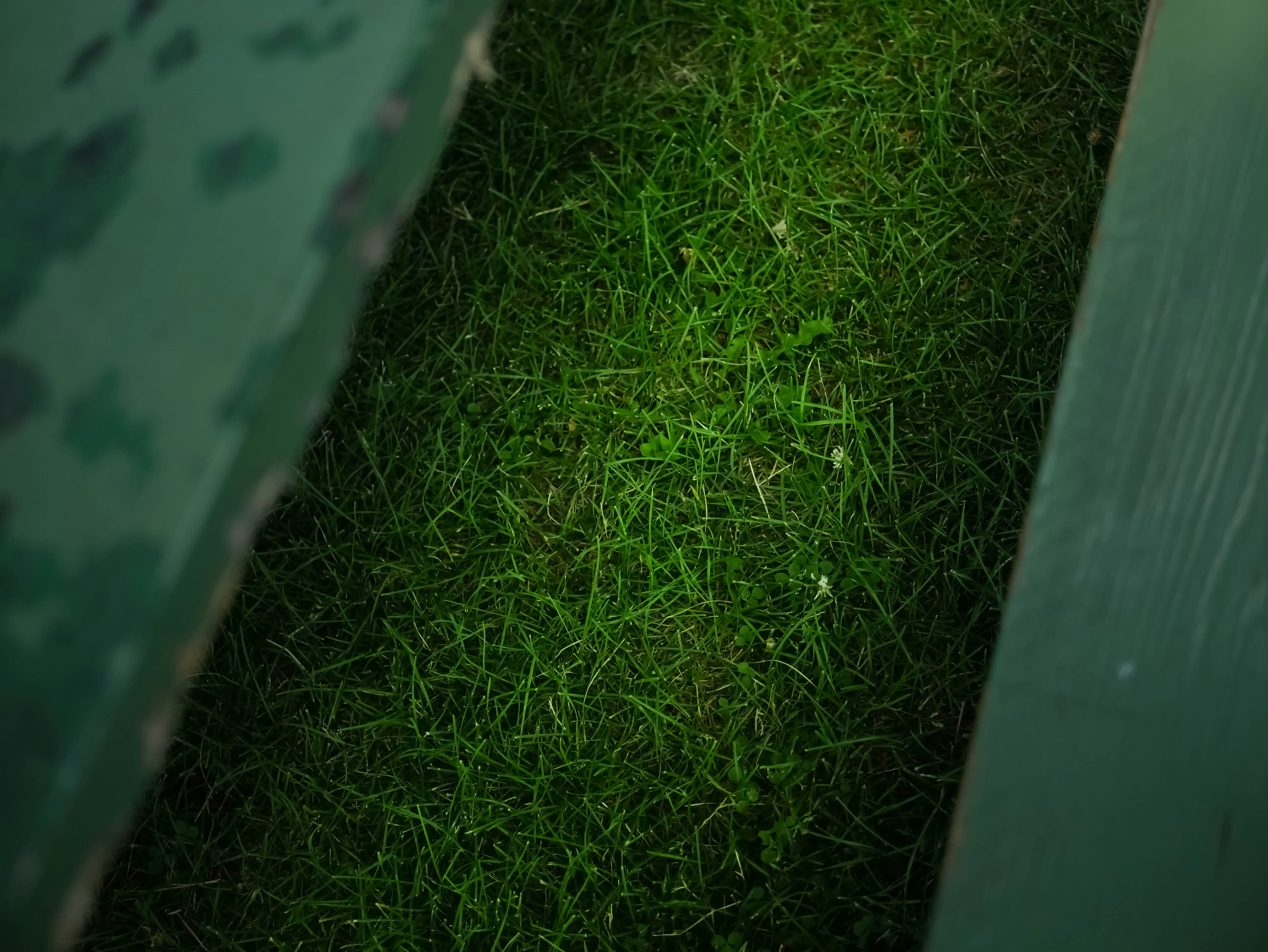 Emerald Sliver: Grass Framed by Weathered Green Slats