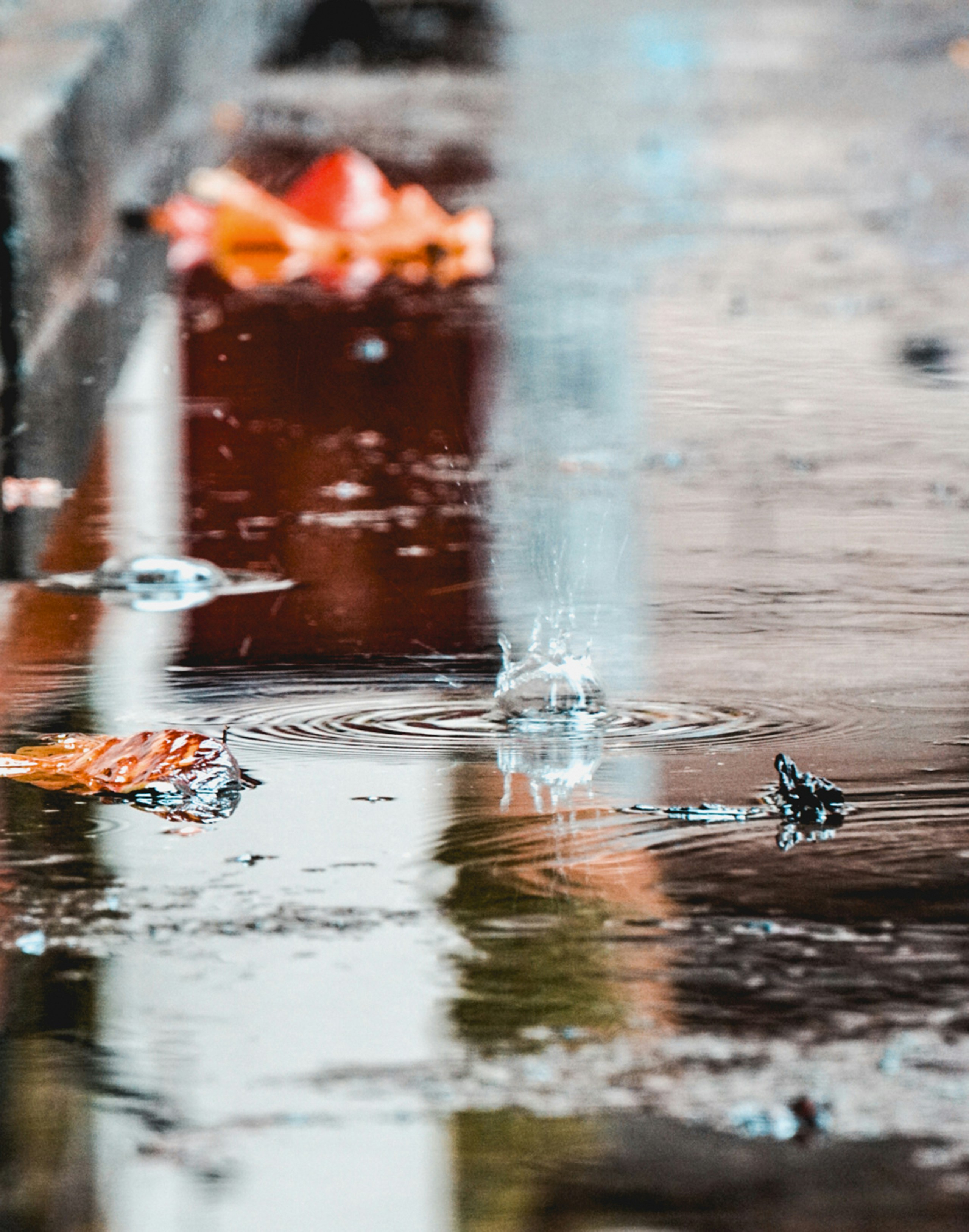 Selective focus photography of drops on puddle photo – Free Surface ...