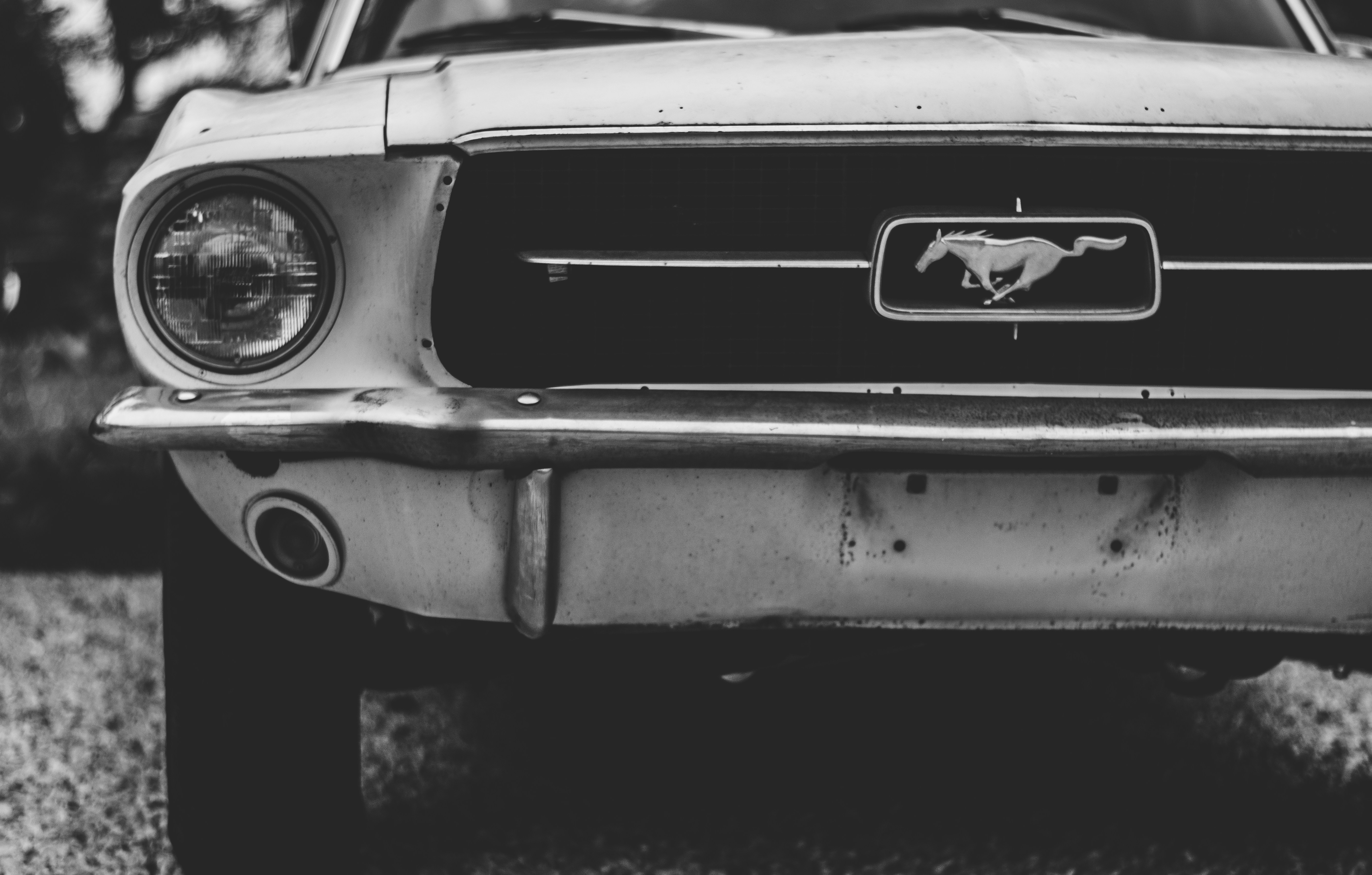 Selective focus photography of white Ford Mustang coupe photo – Free ...