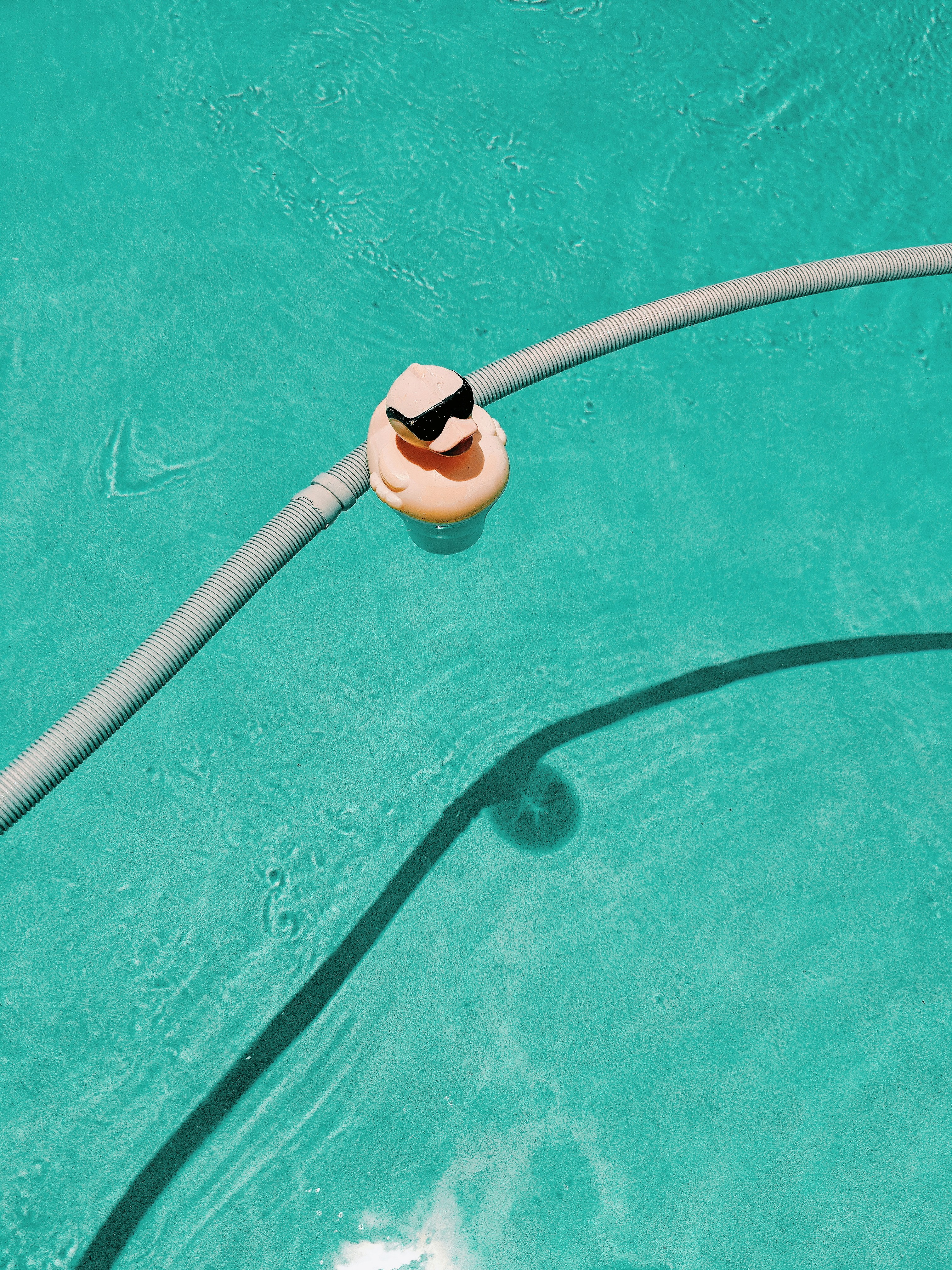 Party all the way. | yellow rubber duck on pool