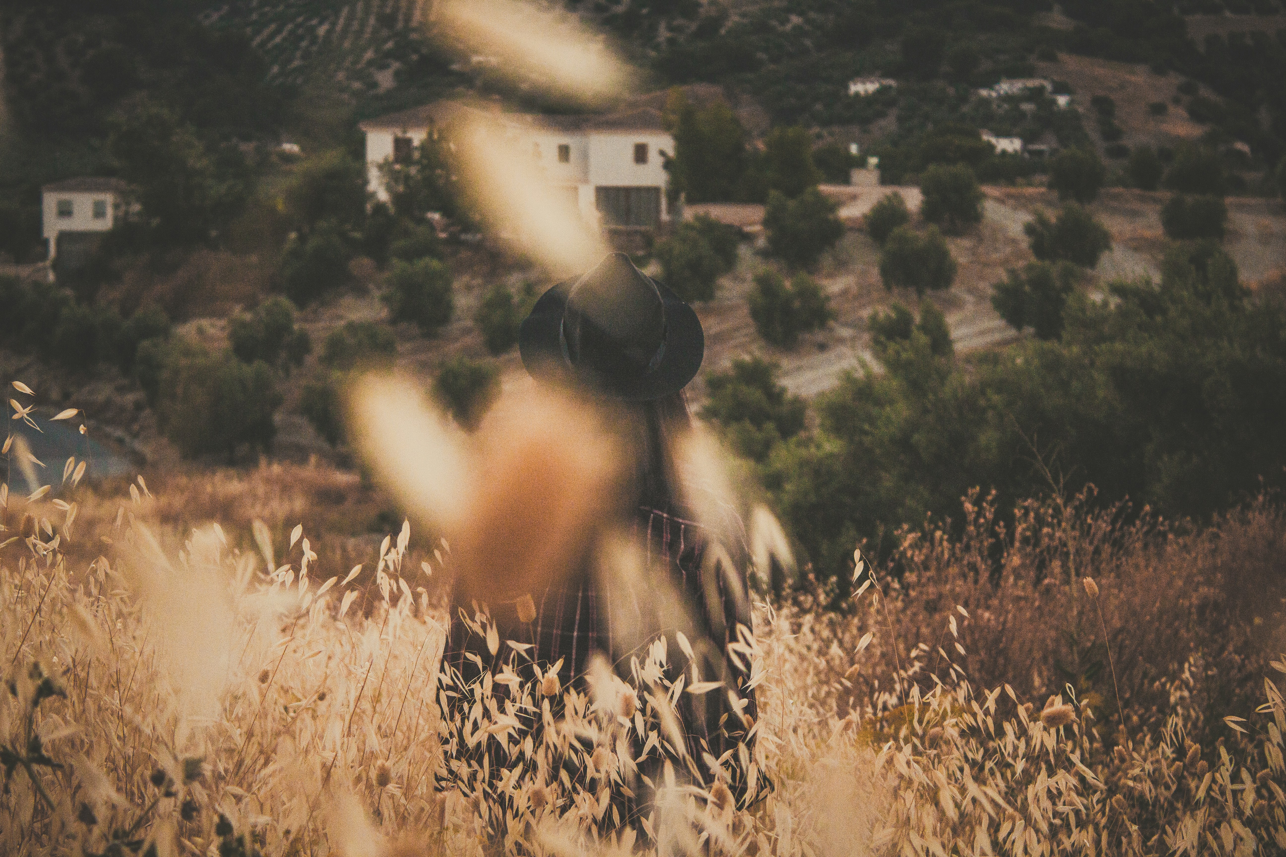 Hazy Portrait in a Field of Golden Grass