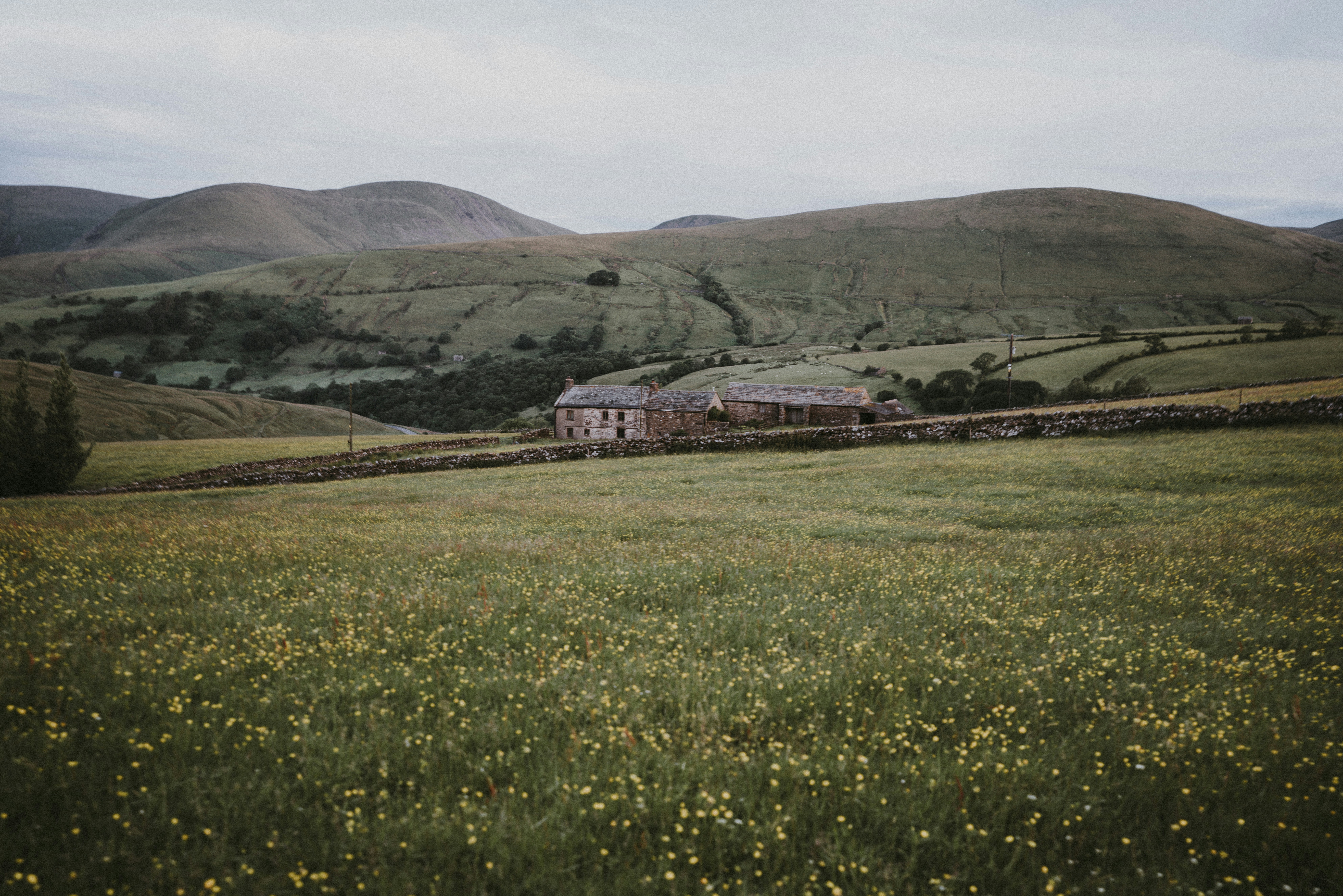 Stone Farmstead in rolling yellow-flowered meadows
