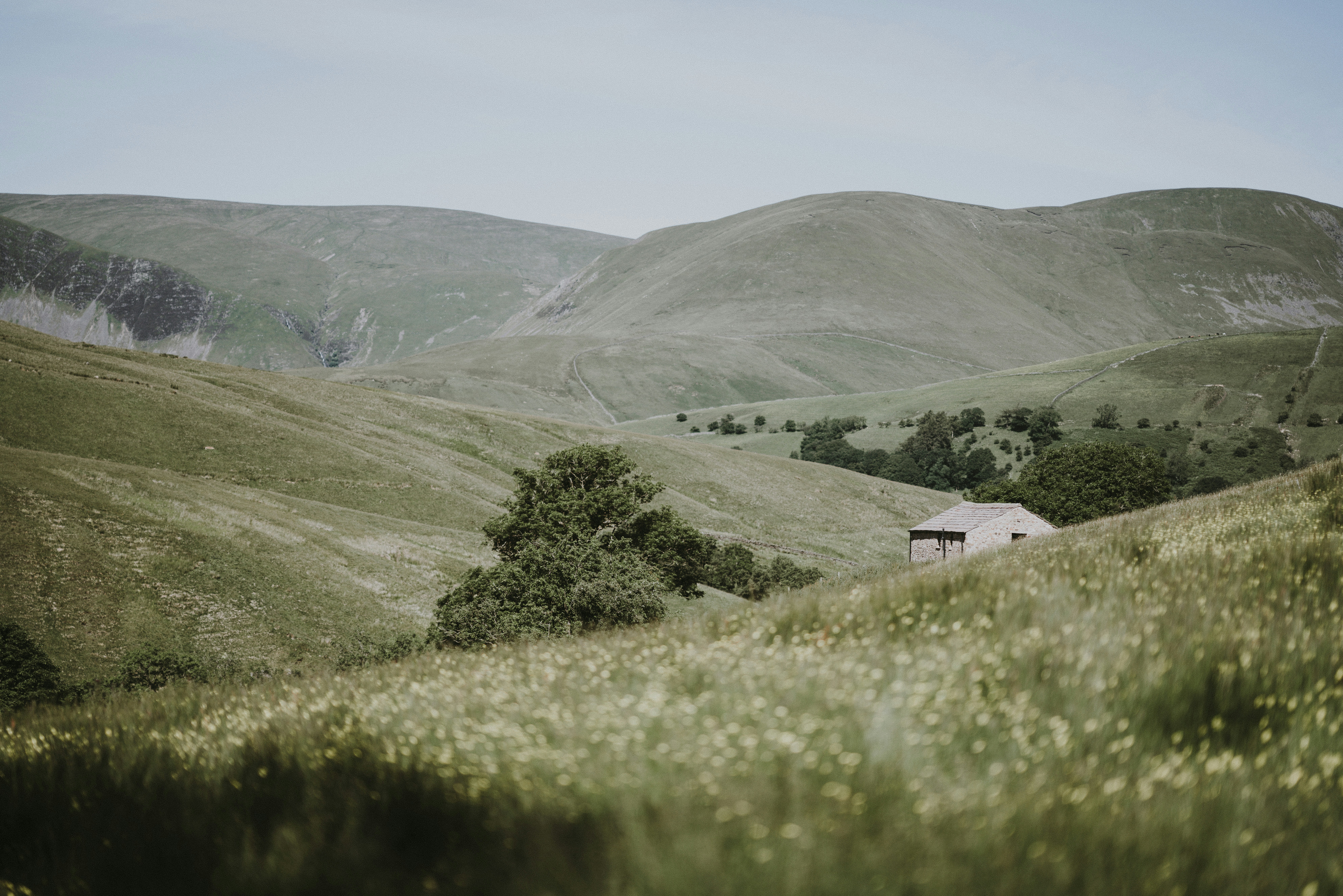 Countryside Cumbrian valley | flower fields and mountains during cloudy day