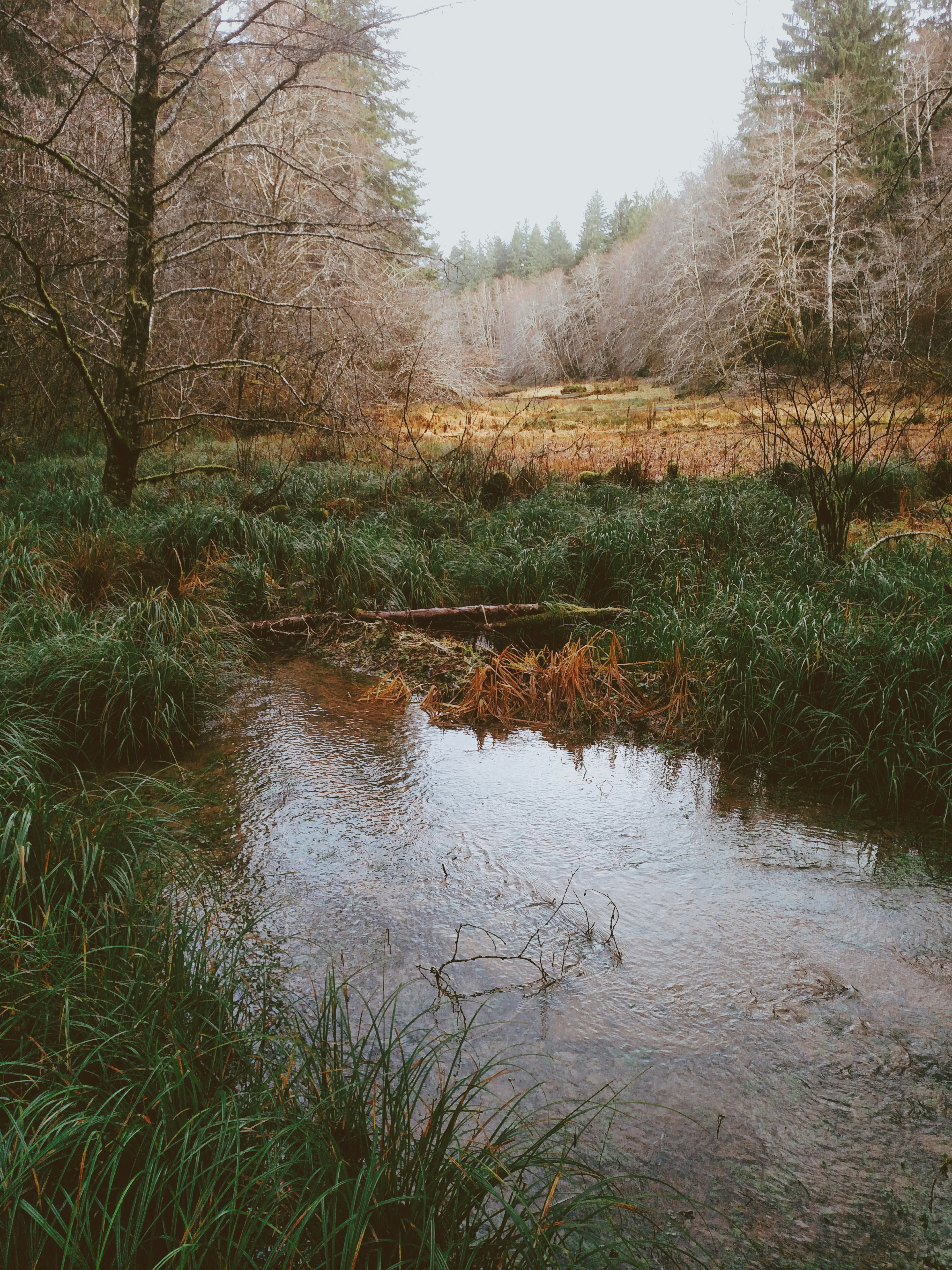 Définition de amble | Dictionnaire français