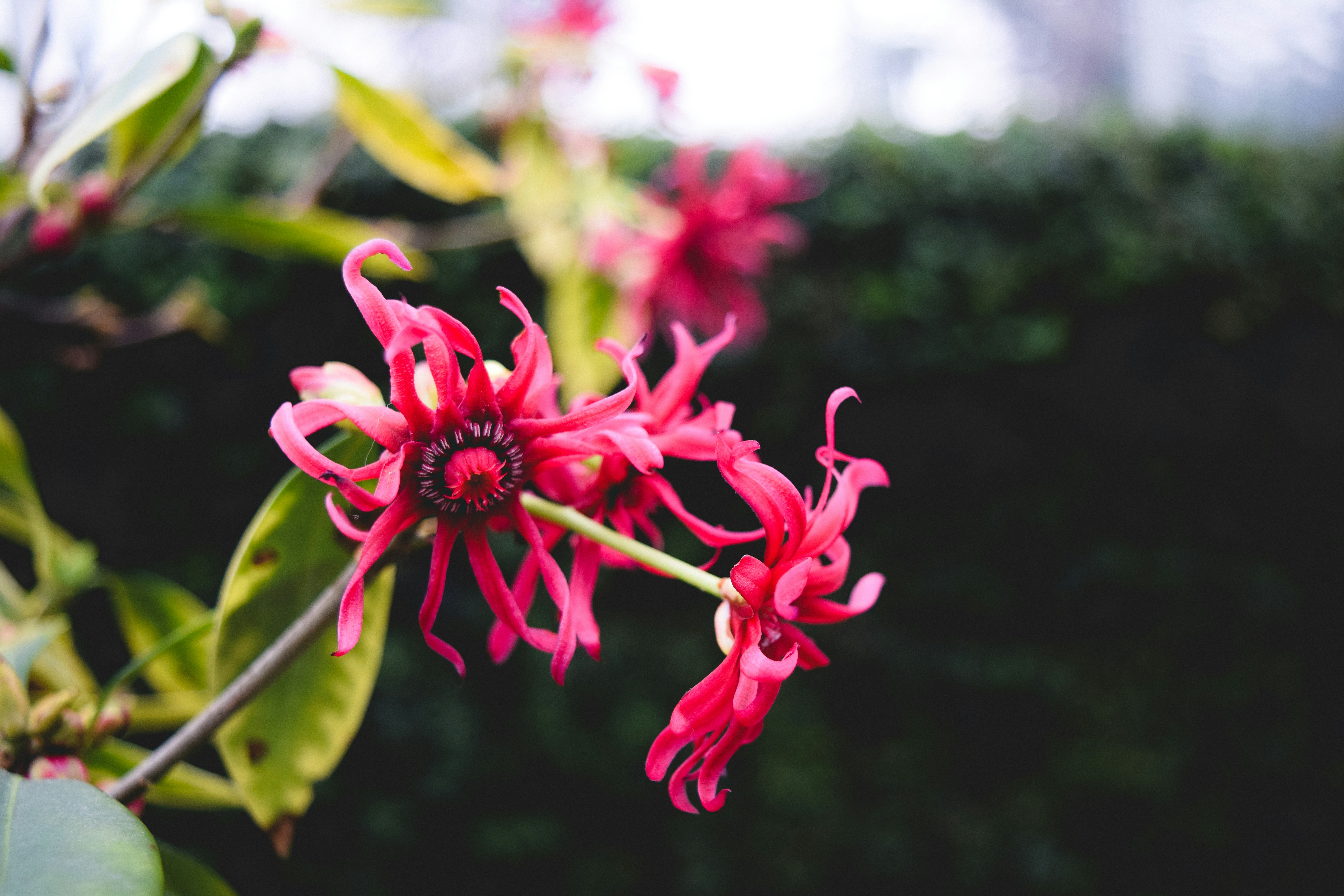 Anthony Melone (@anthony_melone) | Unsplash Photo Community
