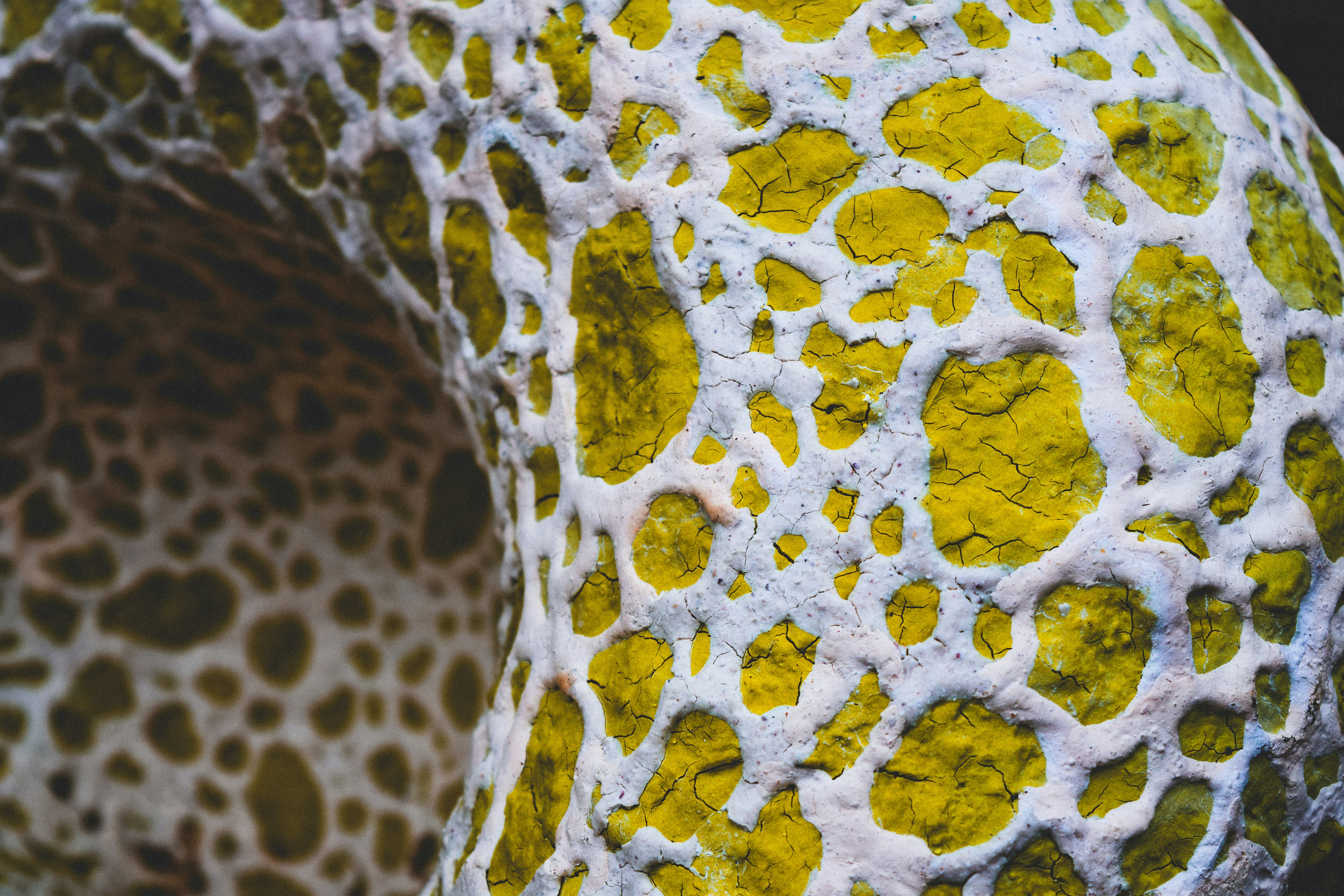 Anthony Melone (@anthony_melone) | Unsplash Photo Community