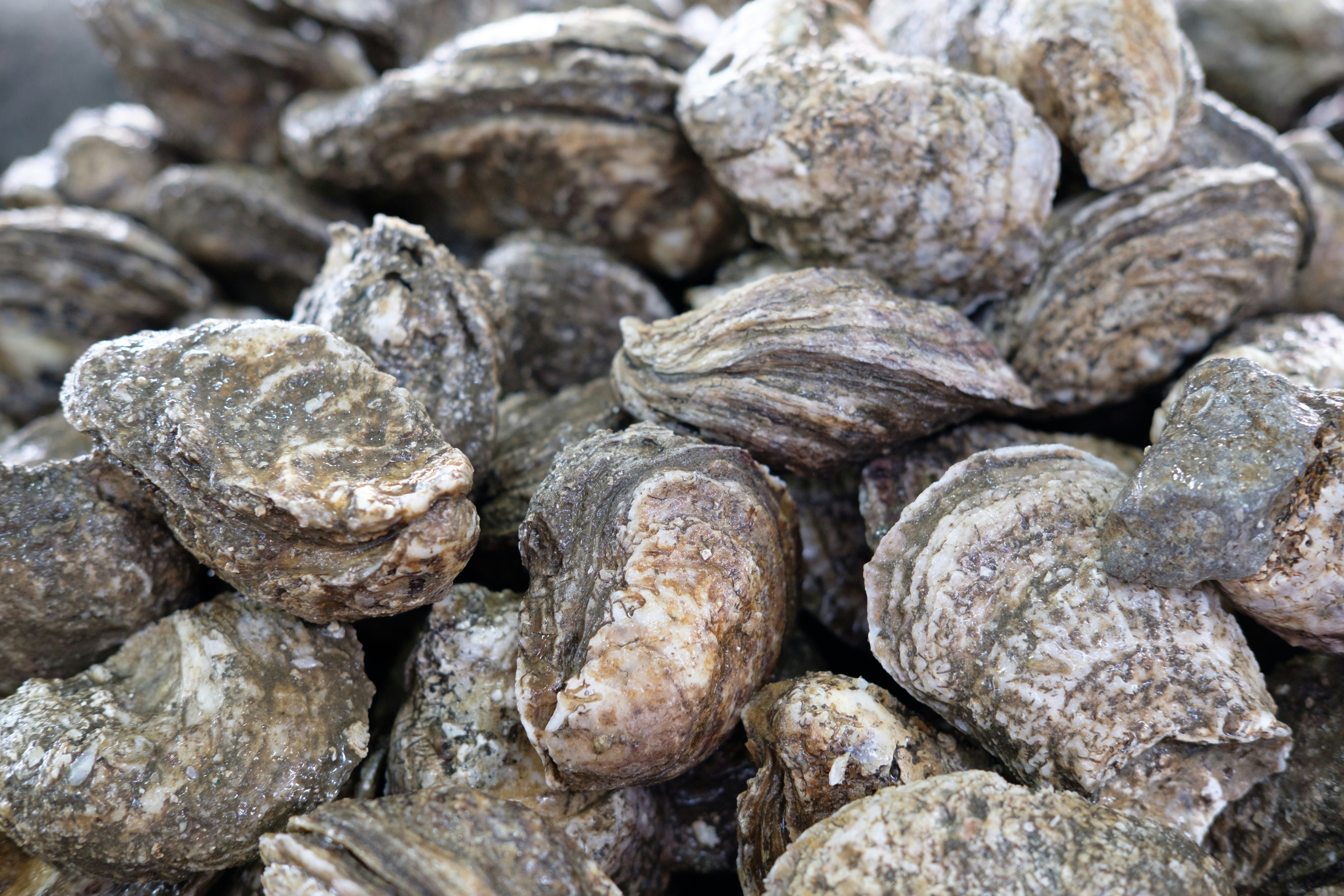 Luke Michael (@lukemichael) | Unsplash Photo Community