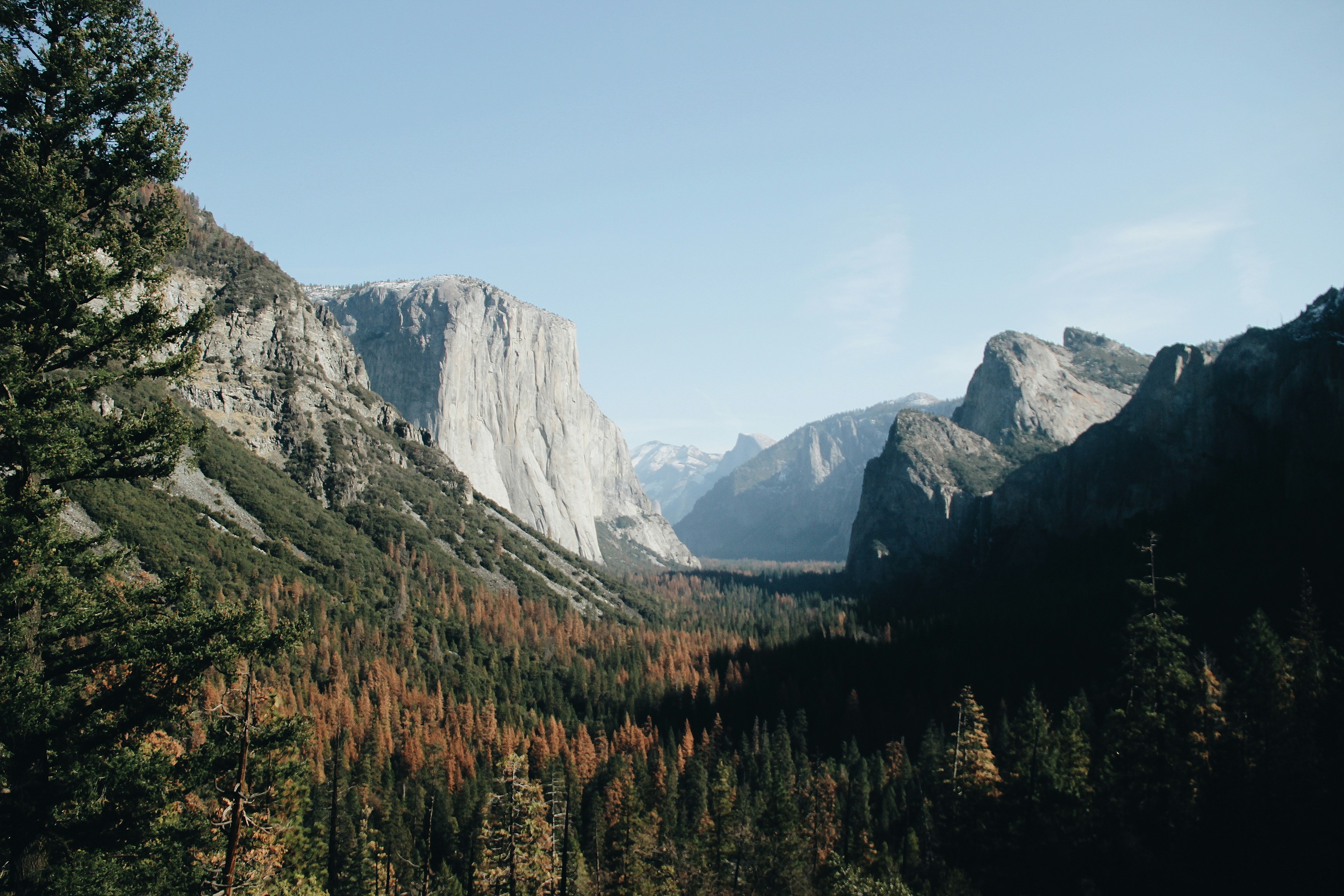 El capitan, Yosemite | green pine trees field under gray sky