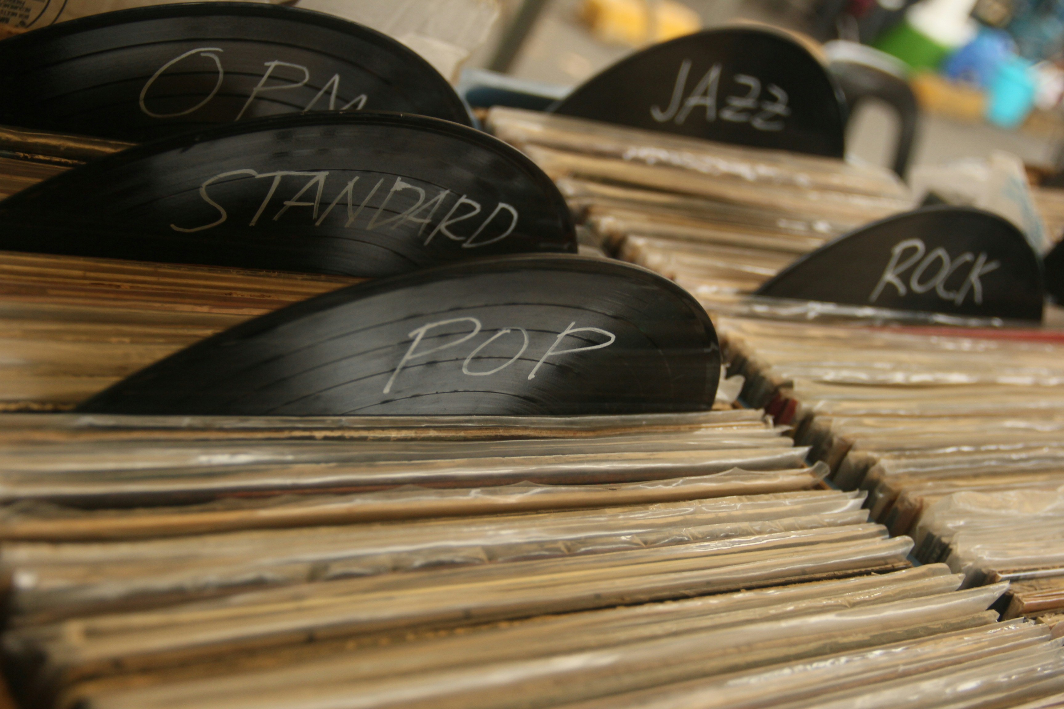 Vinyl Serenade: Echoes of Musical Eras