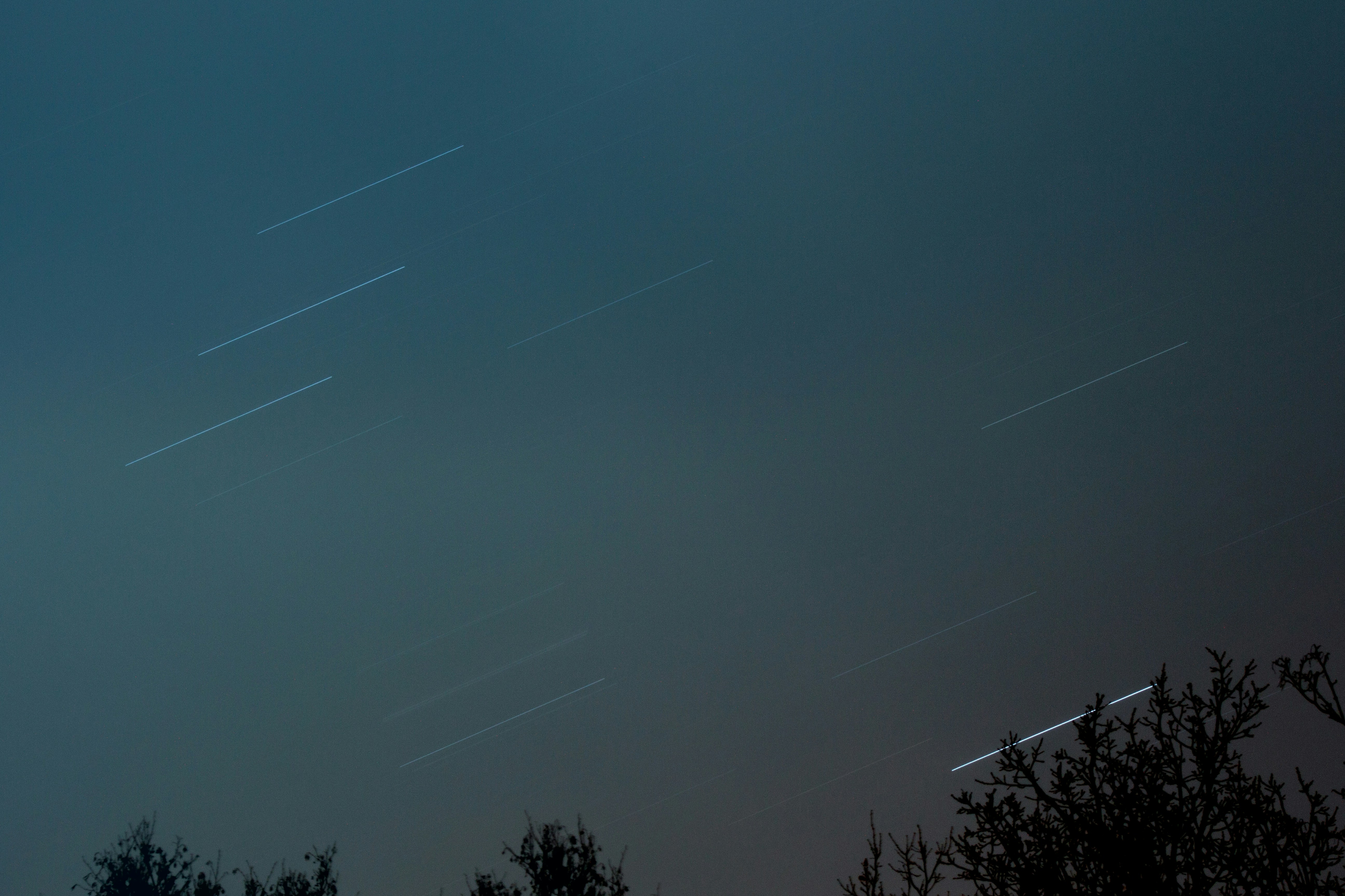 Long exposure photograph capturing the movement of stars across a twilight sky, framed by silhouetted treetops.