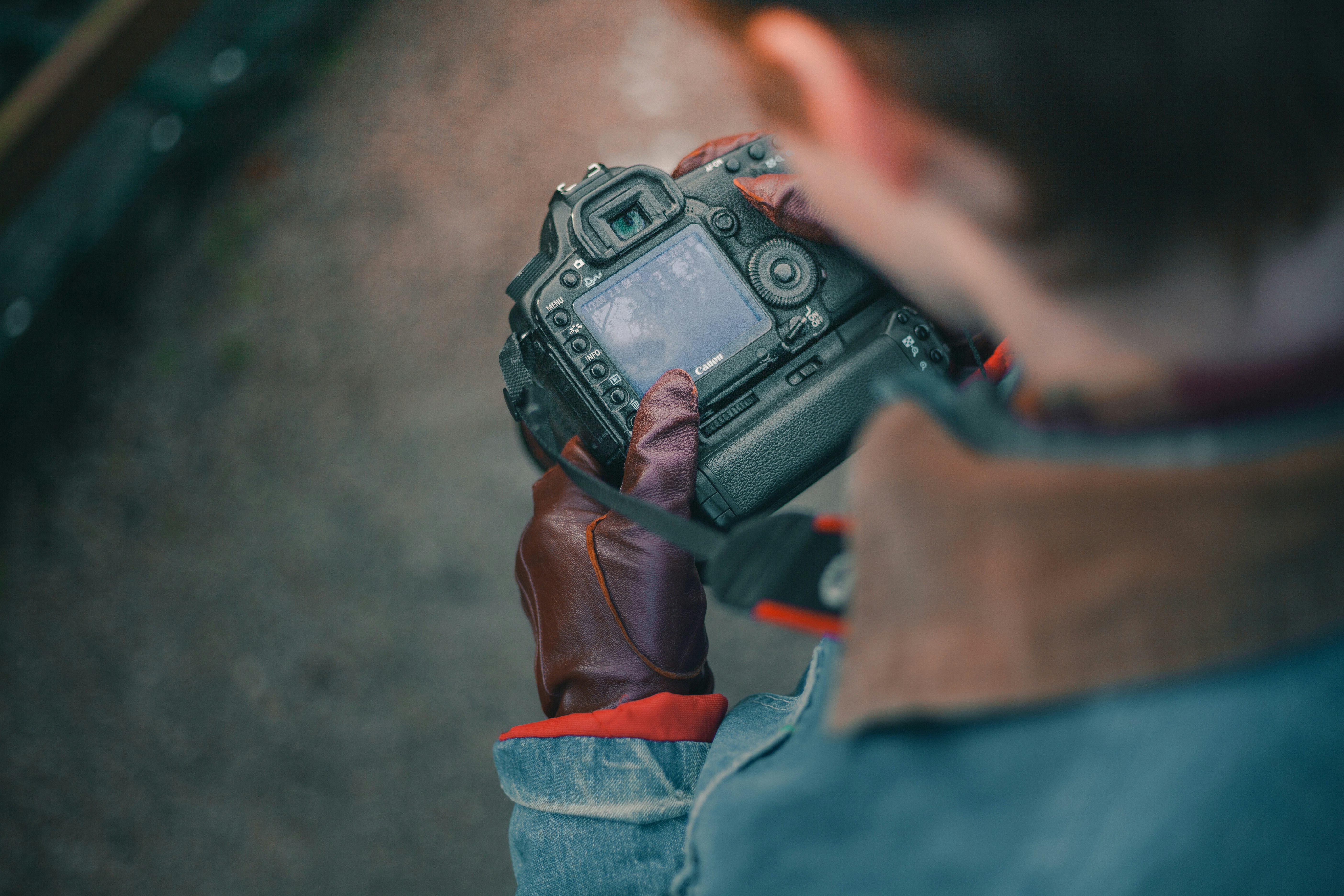 Person holding DSLR camera photo – Free Dalby forest Image on Unsplash