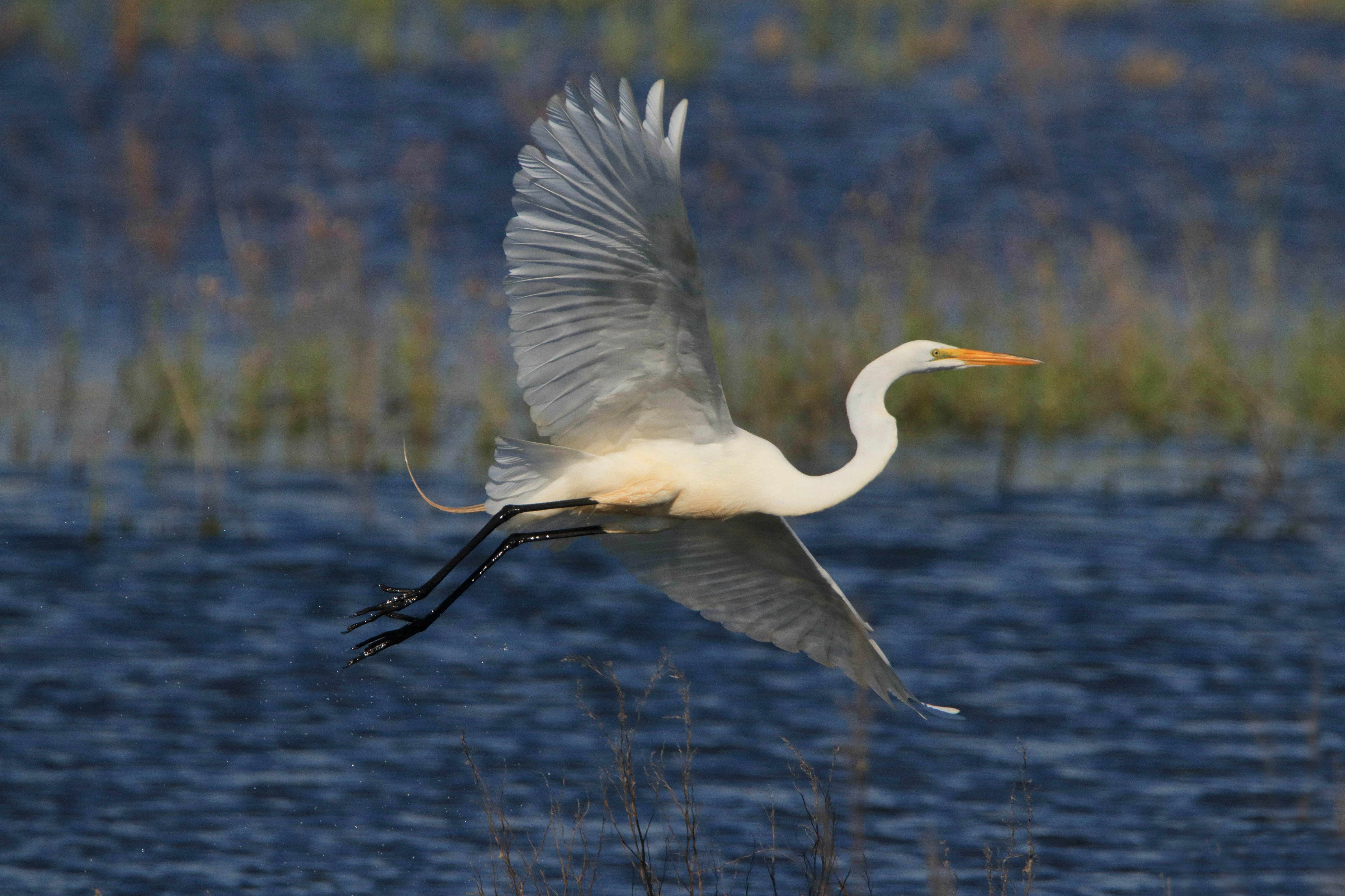 Gary Bendig (@kris_ricepees) | Unsplash Photo Community
