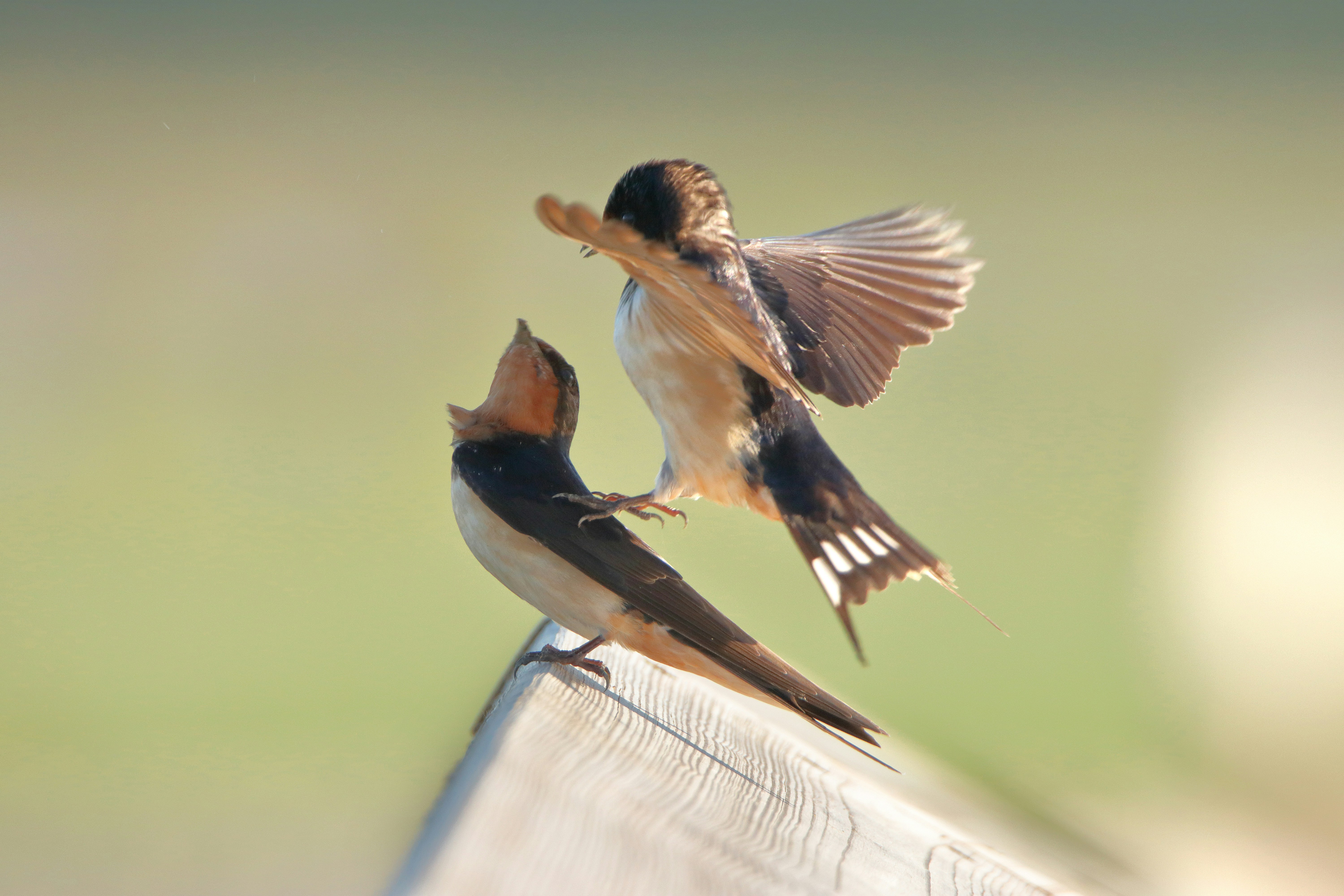 Gary Bendig (@kris_ricepees) | Unsplash Photo Community