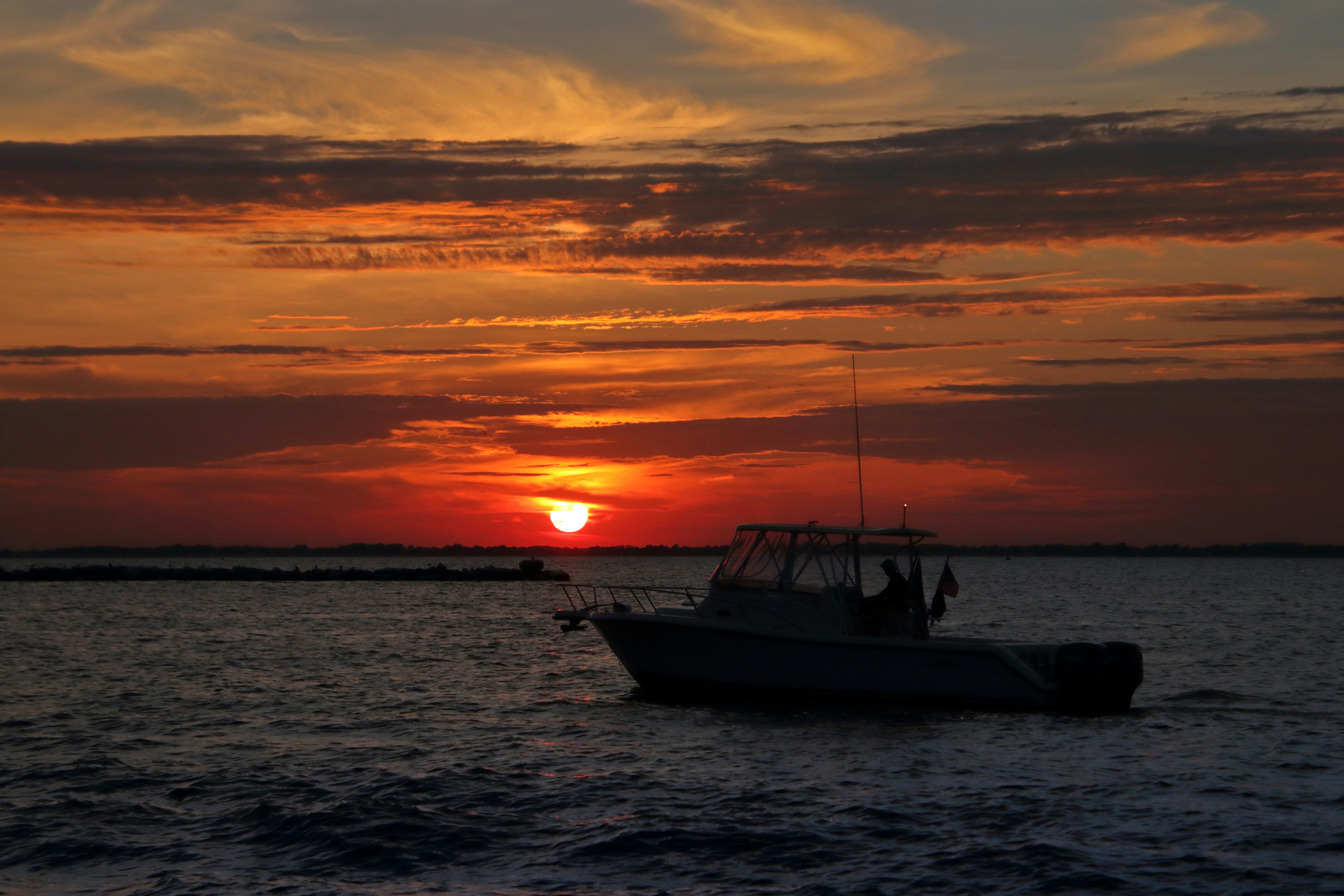 Gary Bendig (@kris_ricepees) | Unsplash Photo Community