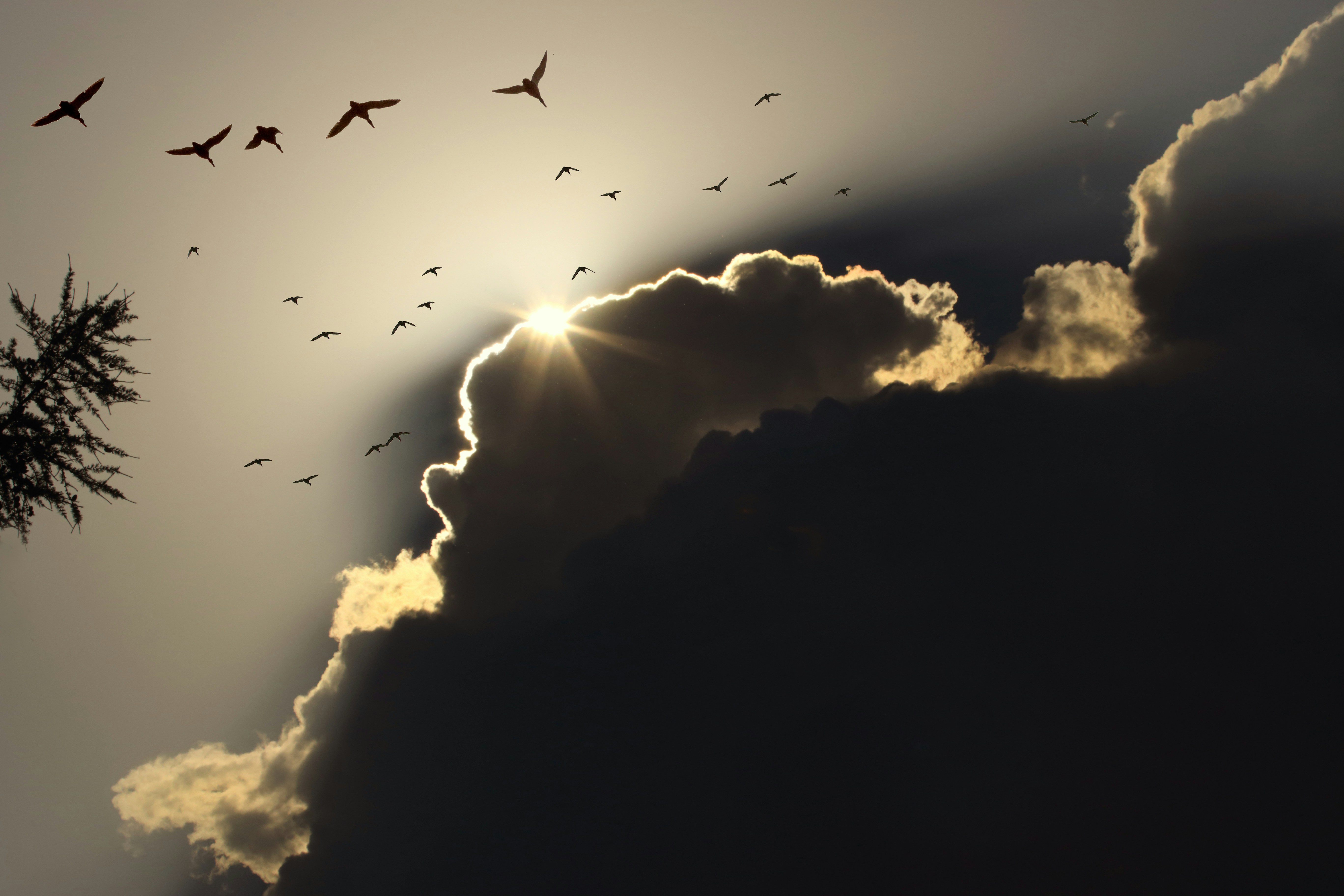 Gary Bendig (@kris_ricepees) | Unsplash Photo Community