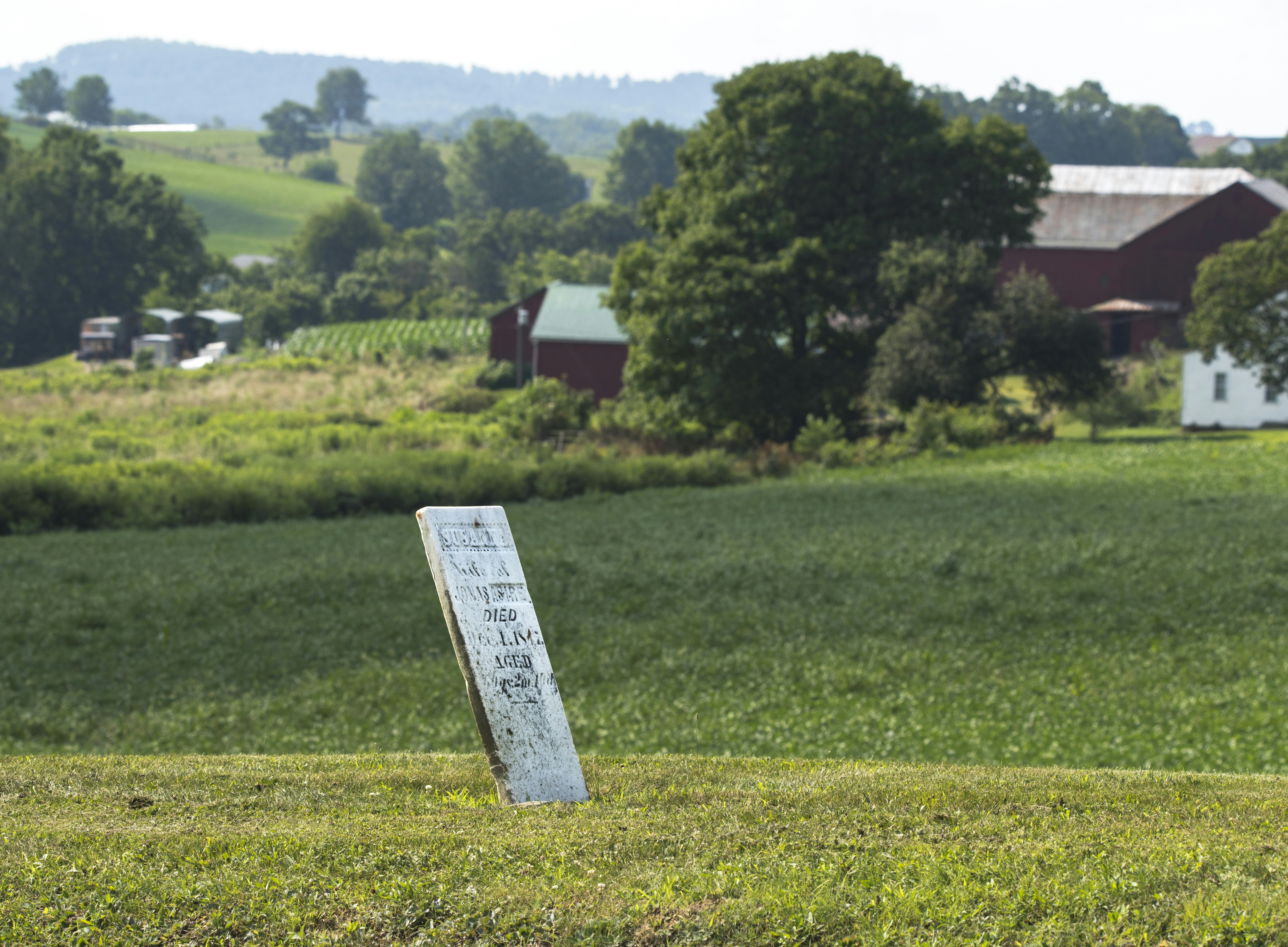 Leaning roadside marker in a lush green field with a red barn in the background under a clear sky.