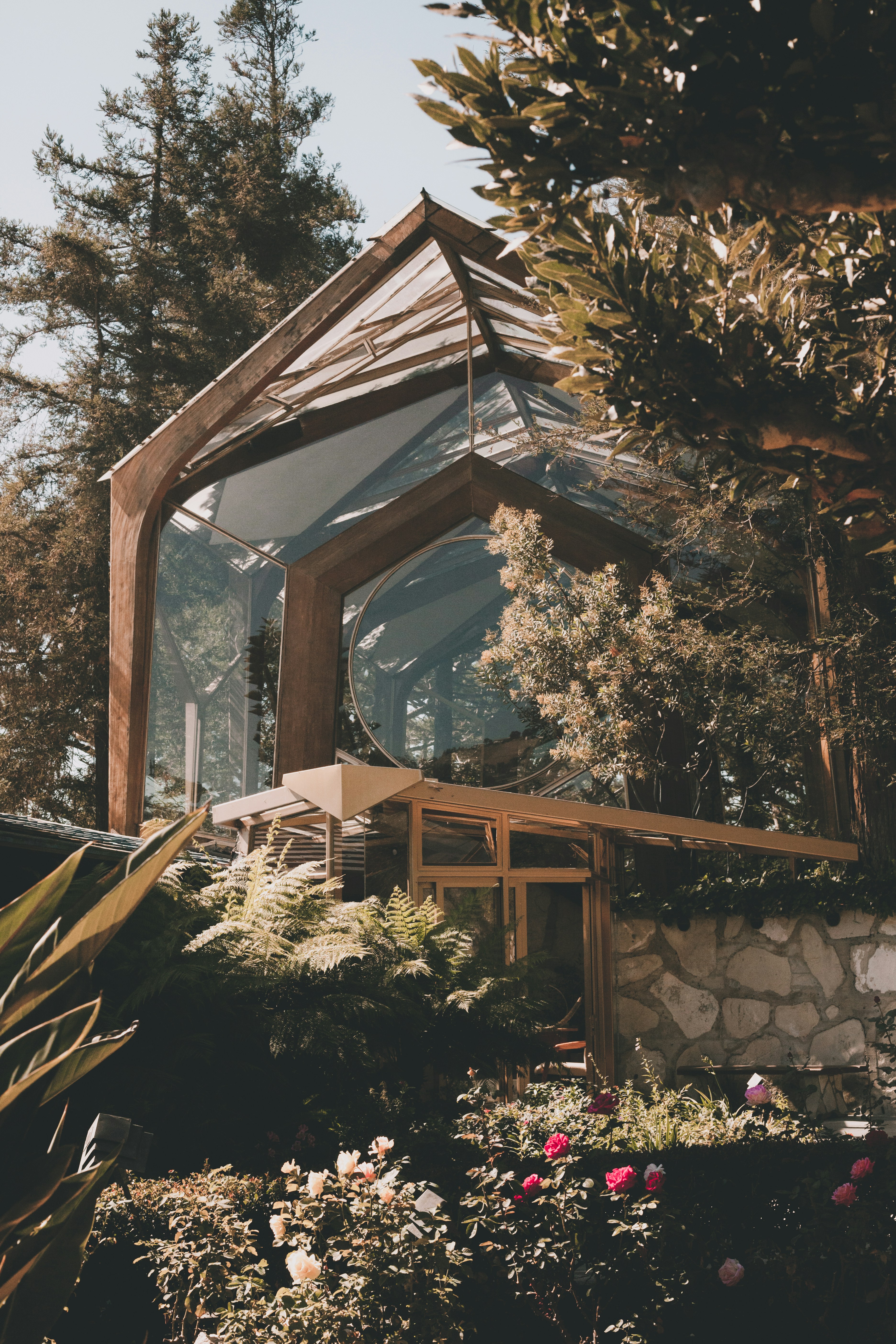 Arched Glass Pavilion Rising Over a Sunlit Forest Garden