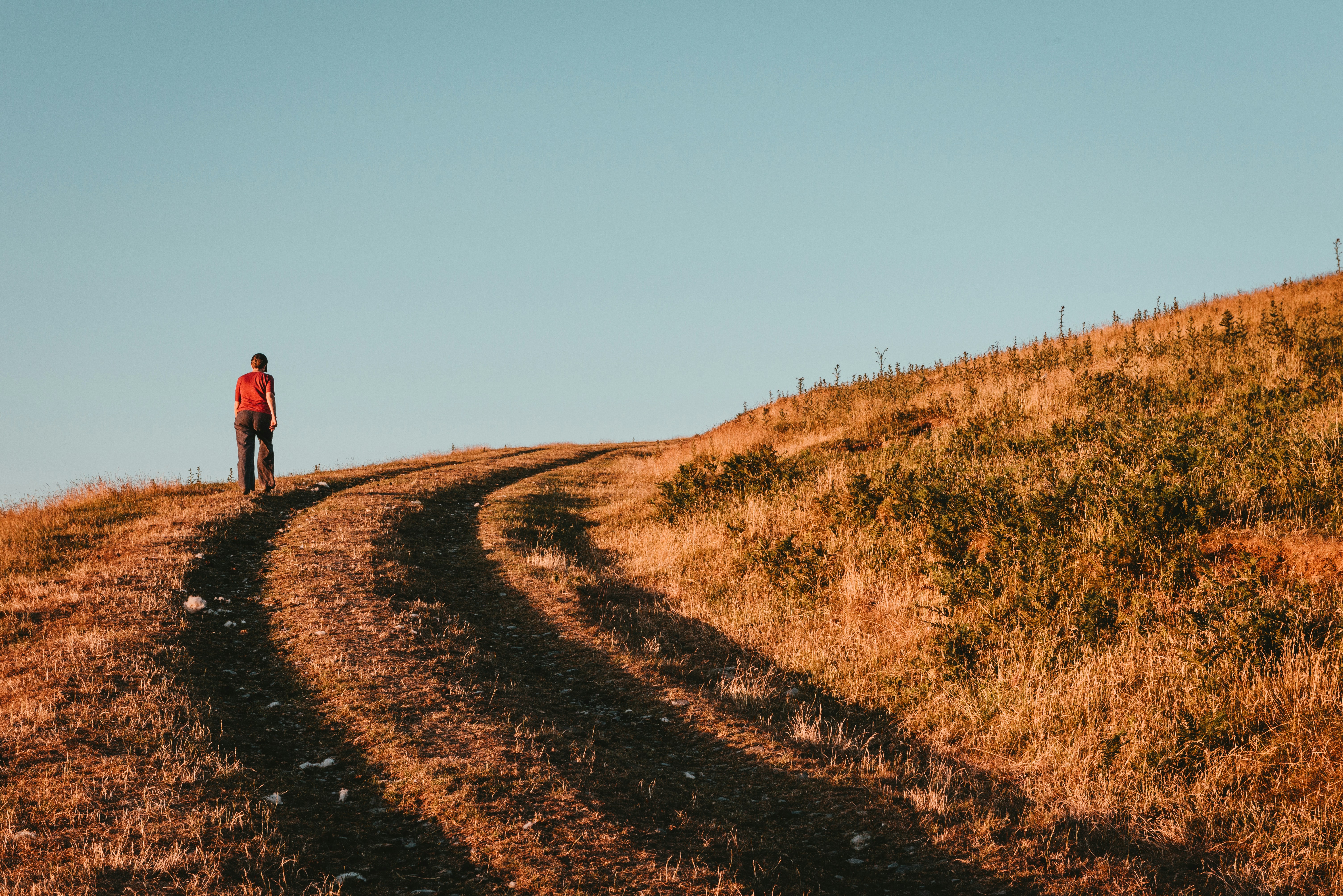 Man walking on grass pathway photo – Free Machynlleth Image on Unsplash
