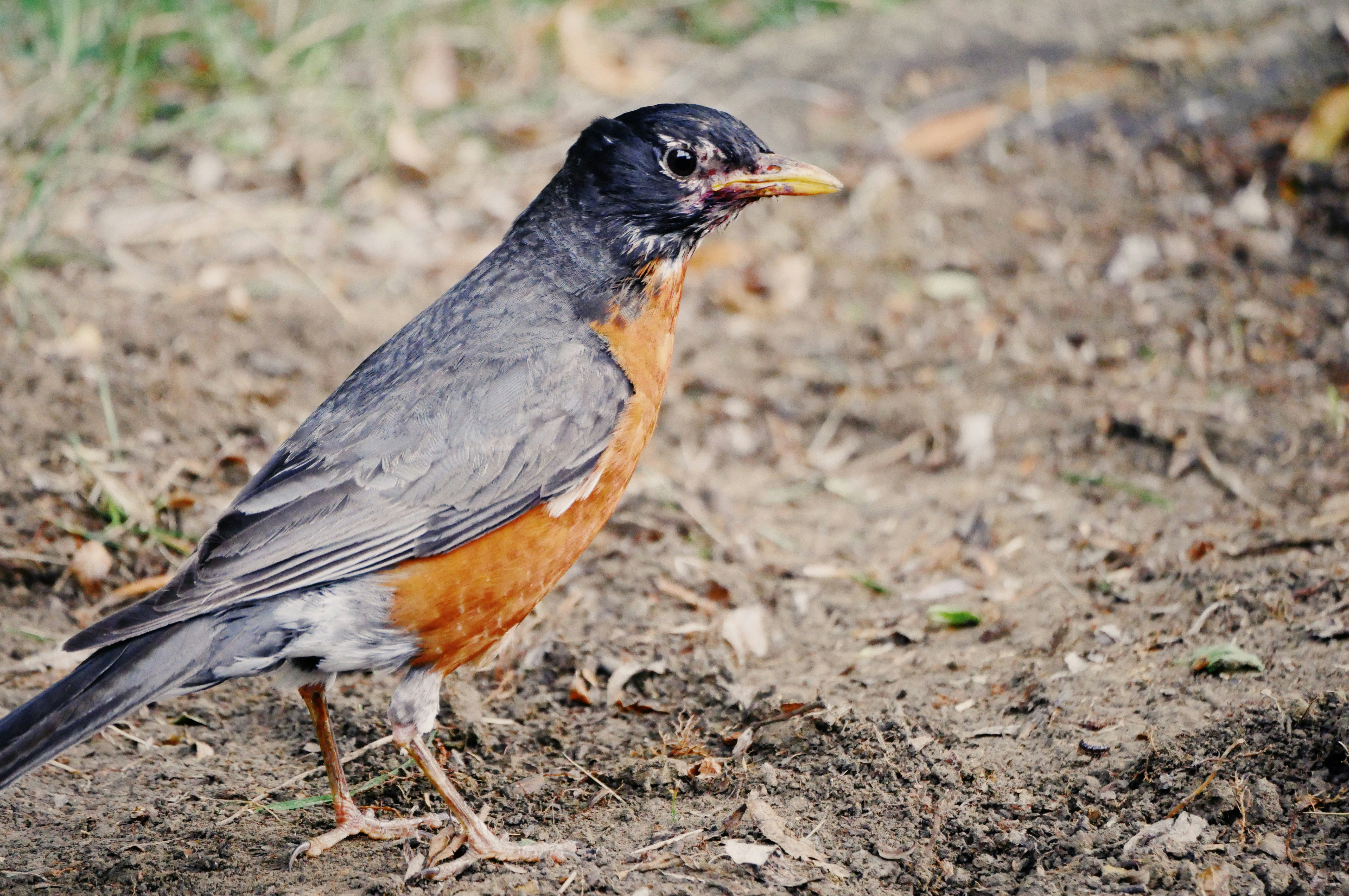 Kyle Johnston (@kylejohnston) | Unsplash Photo Community