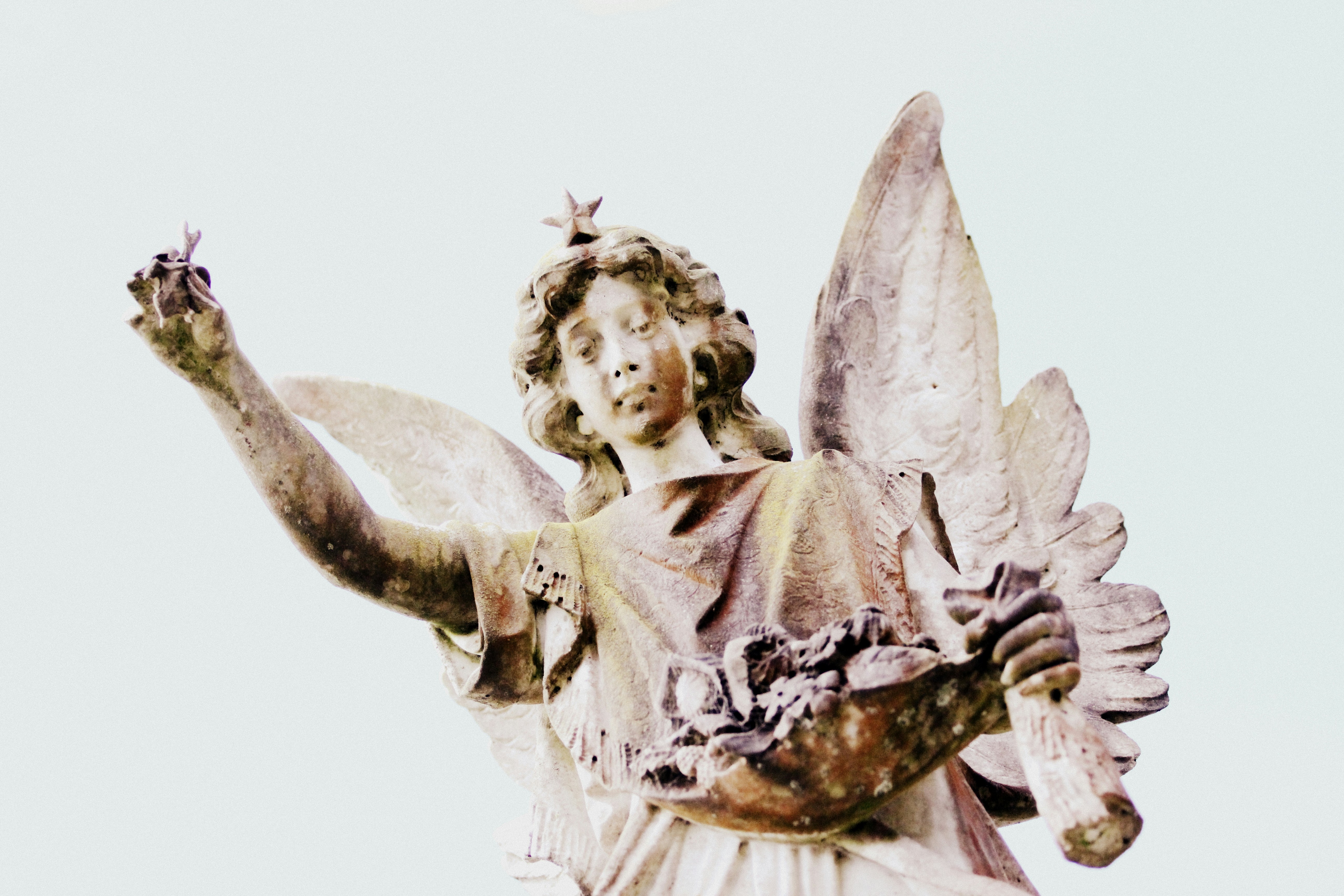 Angel statuette photo – Free Purewa cemetery and crematorium Image on ...